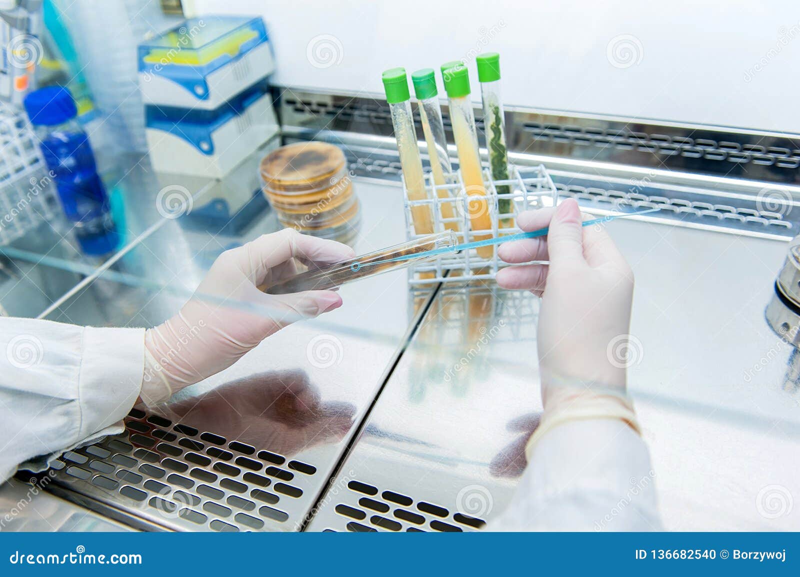 Loop in test tube stock photo. Image of plate, biology - 136682540