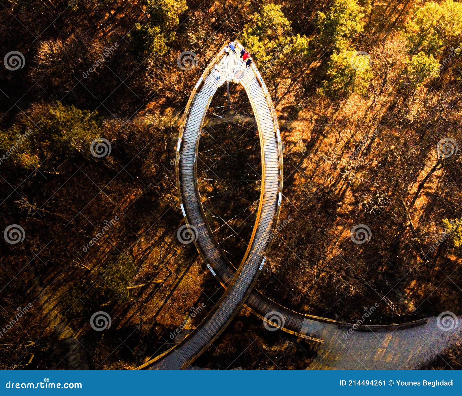 Loop Viewpoint in the Forest Stock Image - Image of europe, house ...