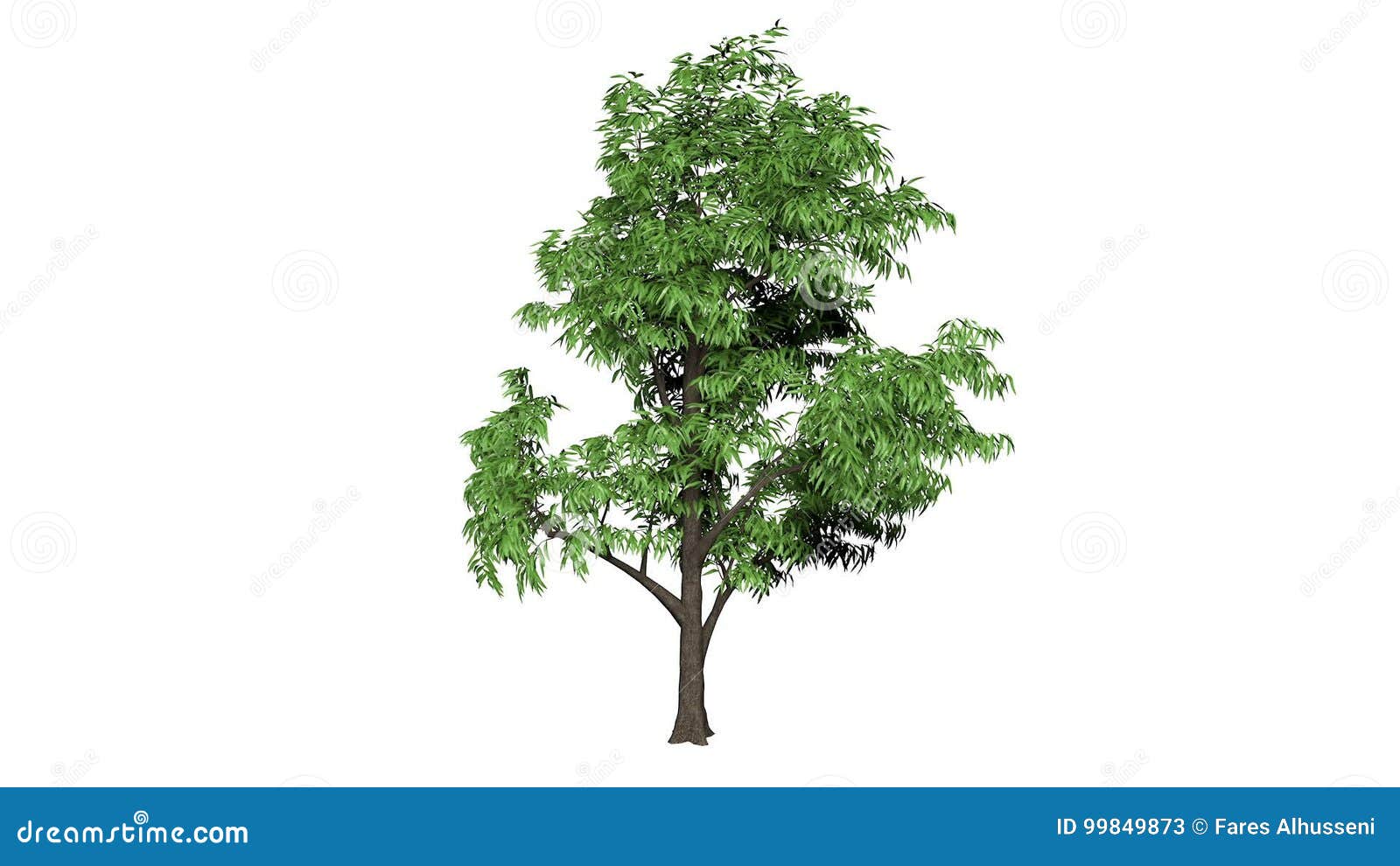 Looping 3D Realistic Tree Isolated on White Stock Video - Video of ...