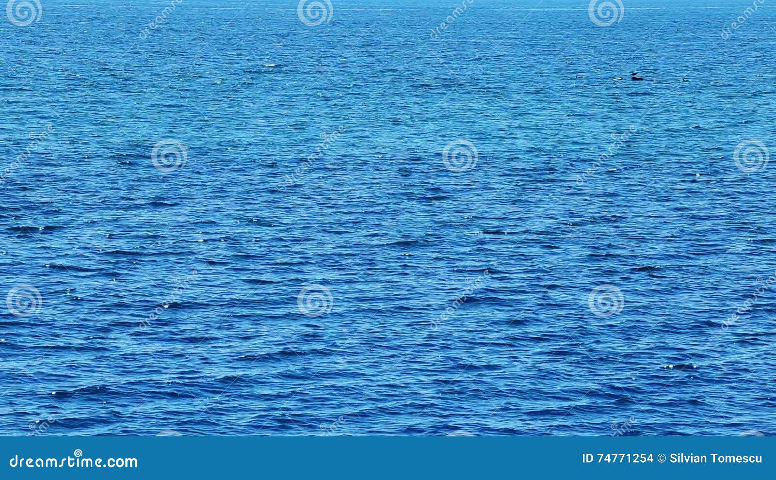 Looping sea waves stock footage. Video of creating, tranquil - 74771254