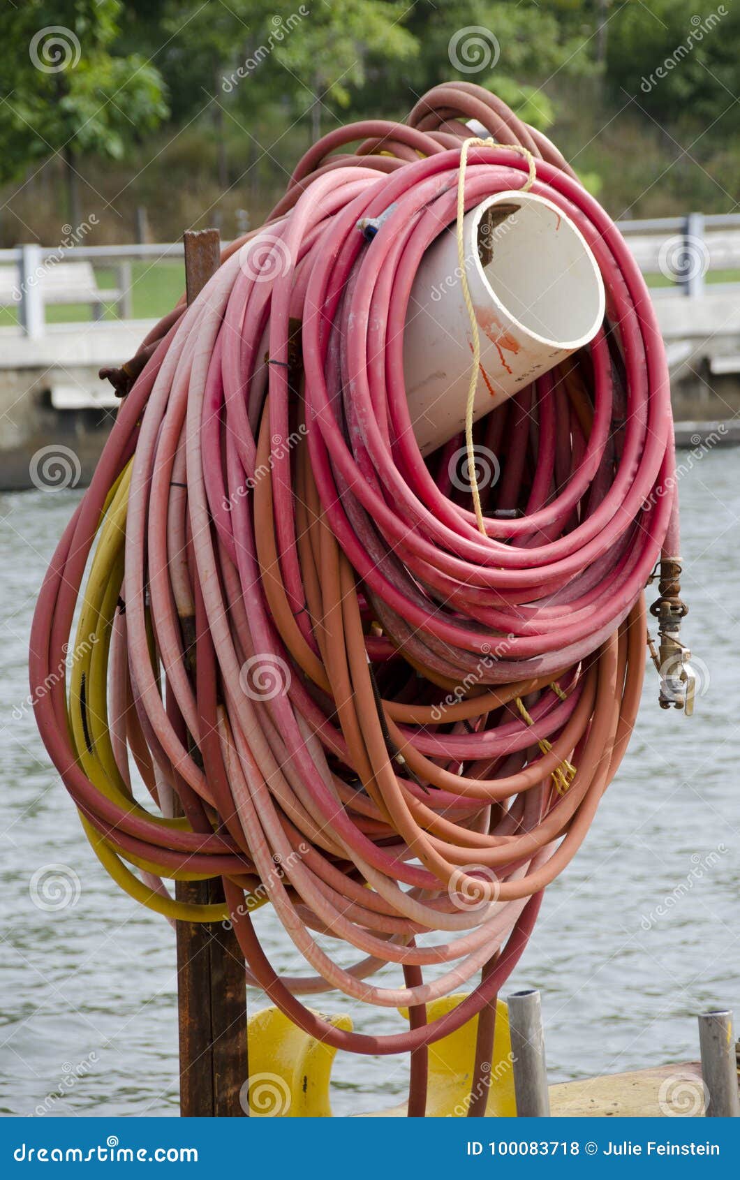 Hose stock photo. Image of coil, coils, water, rubber - 100083718