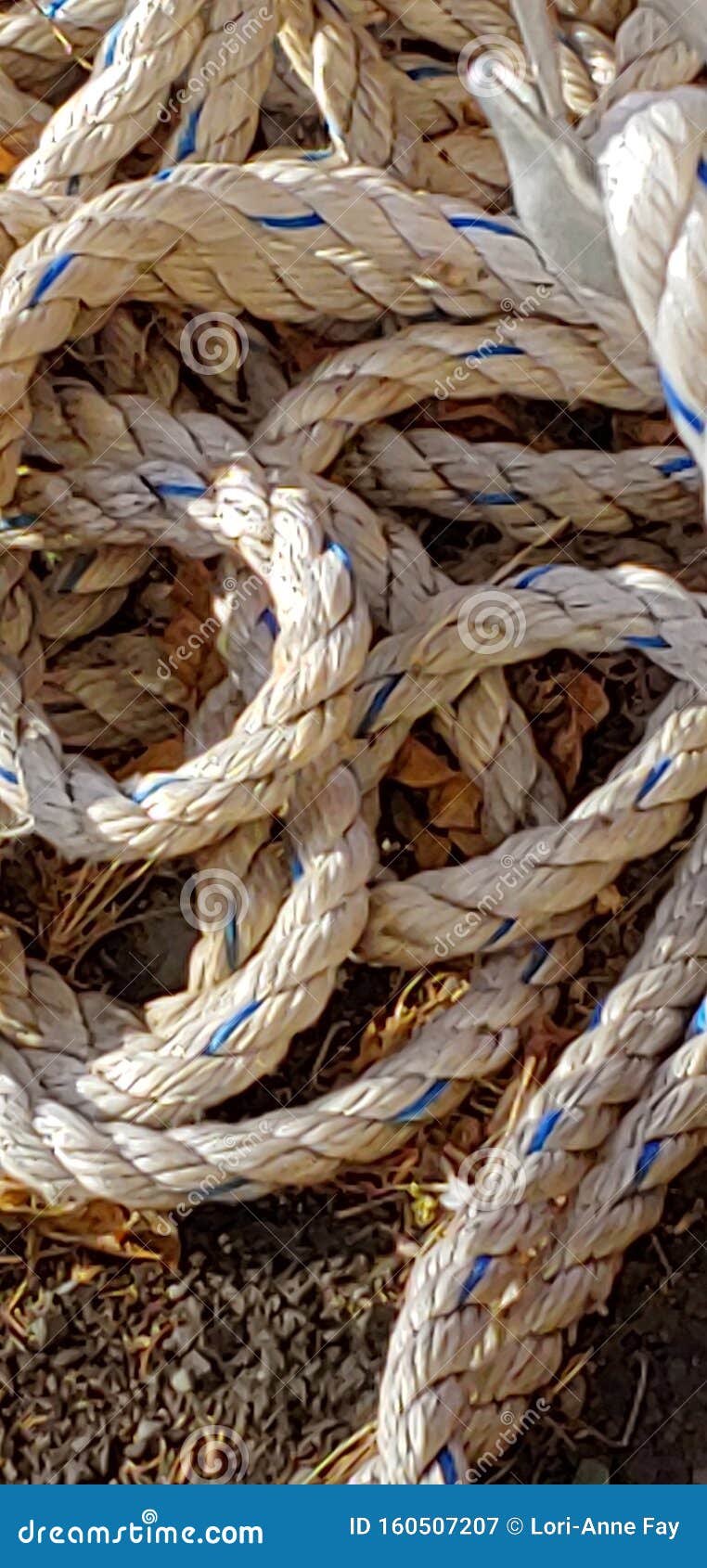 Rope Pile Stock Images - Download 5,702 Royalty Free Photos