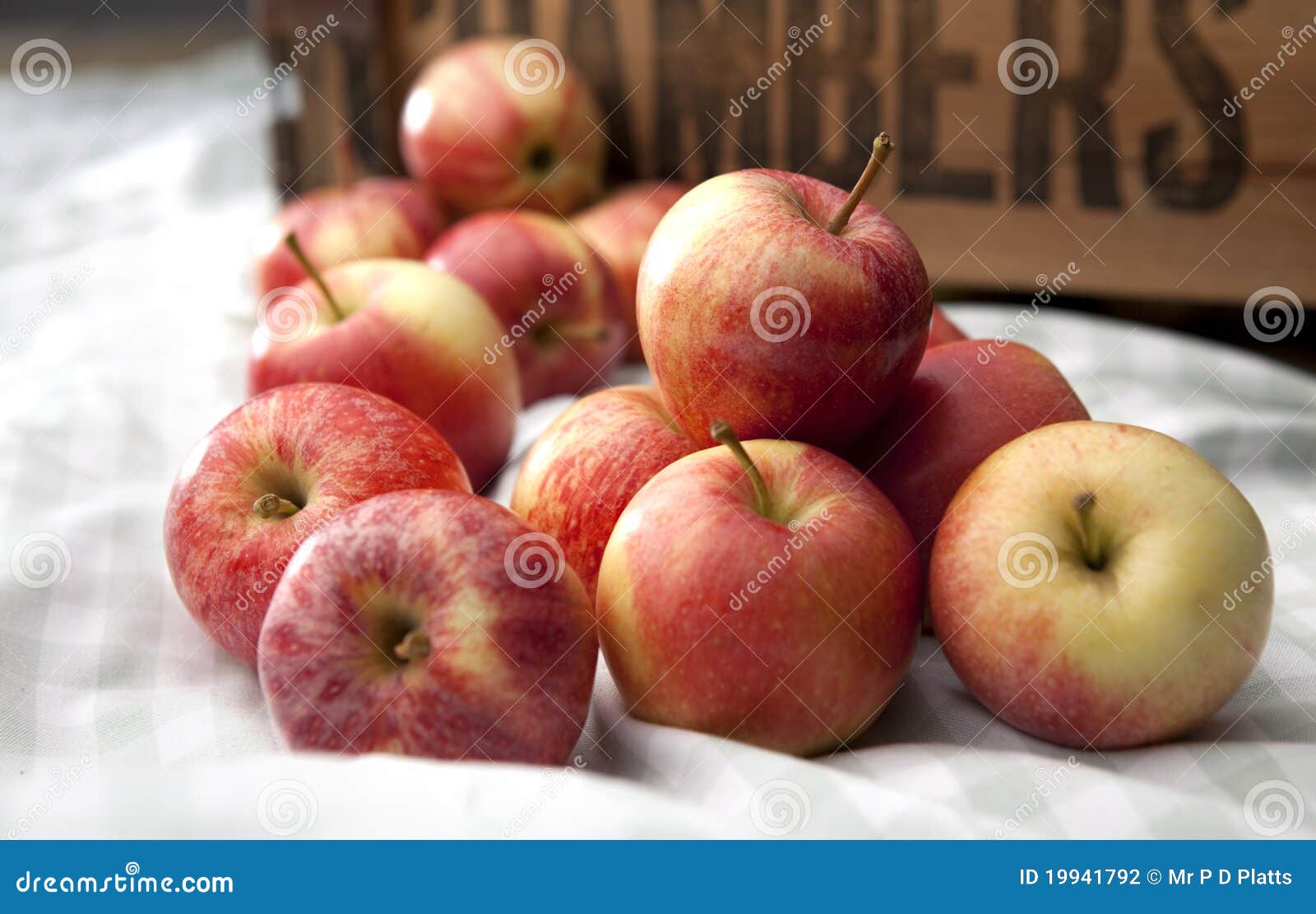 Loose apples stock photo. Image of organic, macro, juicy - 19941792