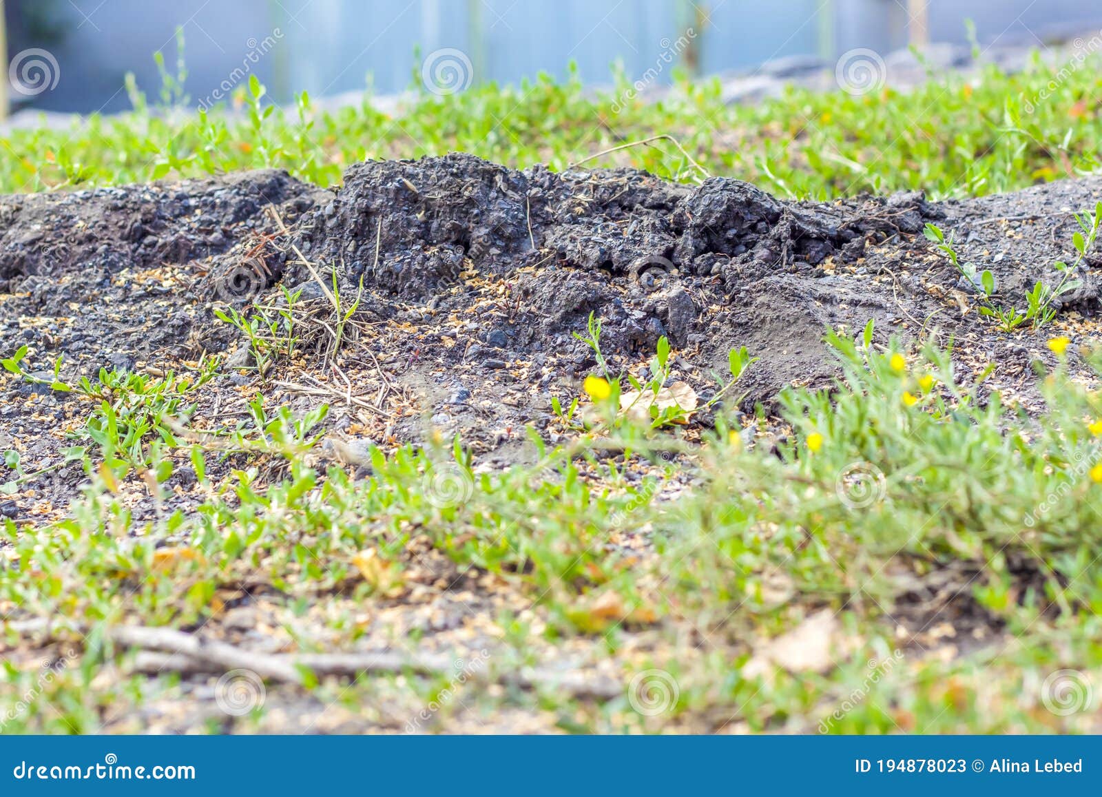 Loose Earth. Texture of Earth and Grass Stock Image - Image of farm ...