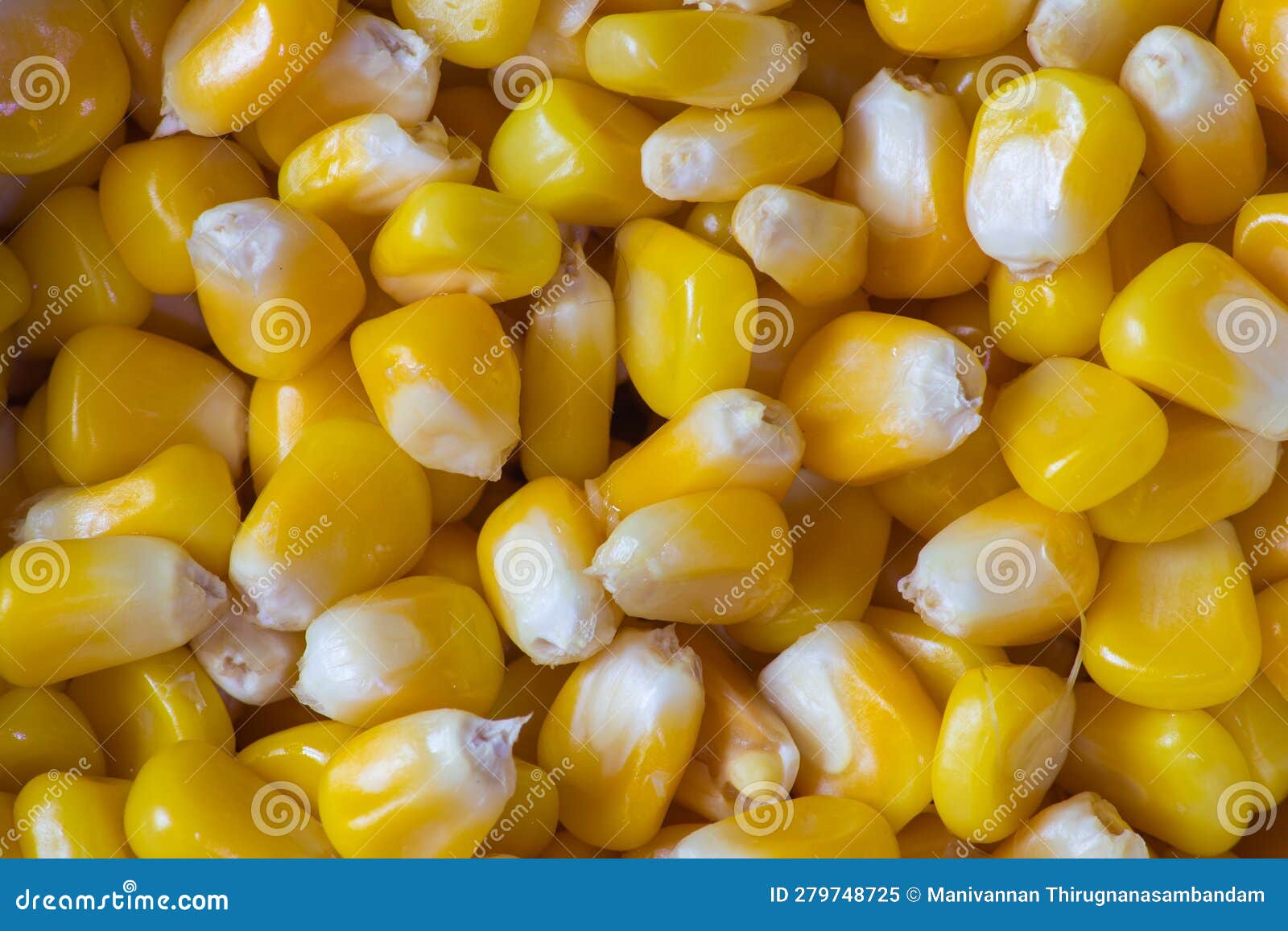 Loose Kernels of Steamed Sweet Corn Stock Image - Image of healthy ...