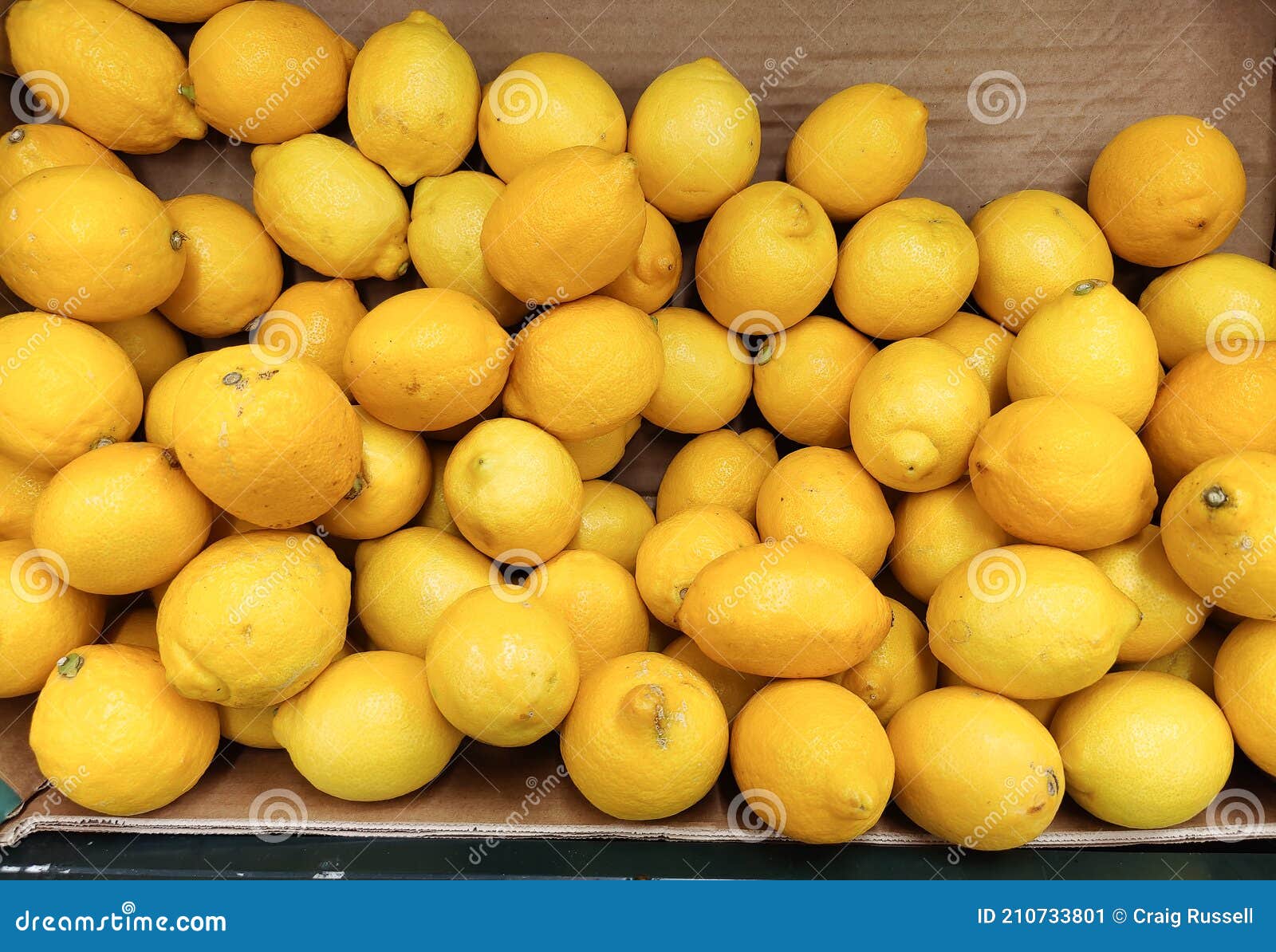 Loose lemons on display stock image. Image of fresh - 210733801