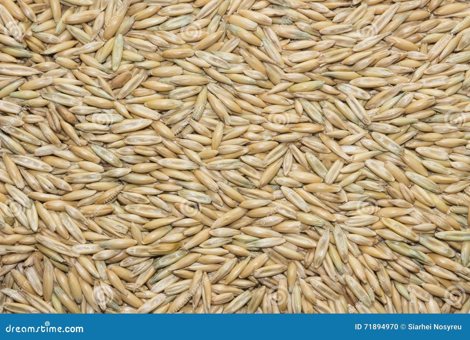 Loose Oats (may Be Used As Background) Stock Photo - Image of meal ...