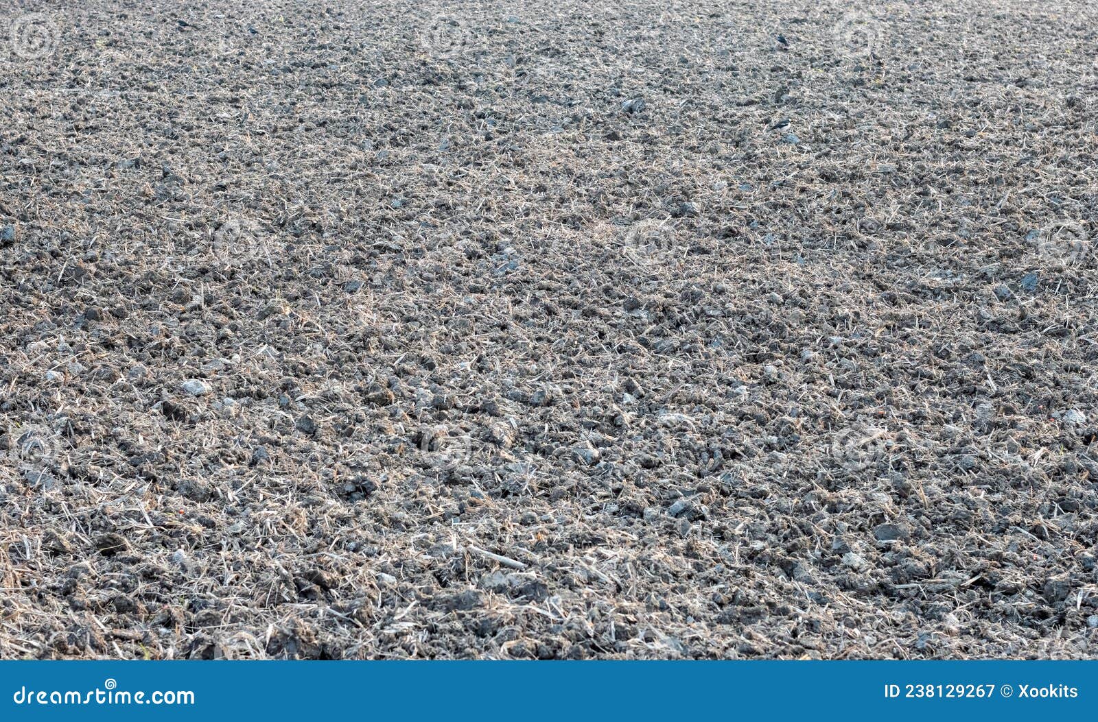 A Loose Soil Land Prepared for Planting Vegetable Stock Image - Image ...