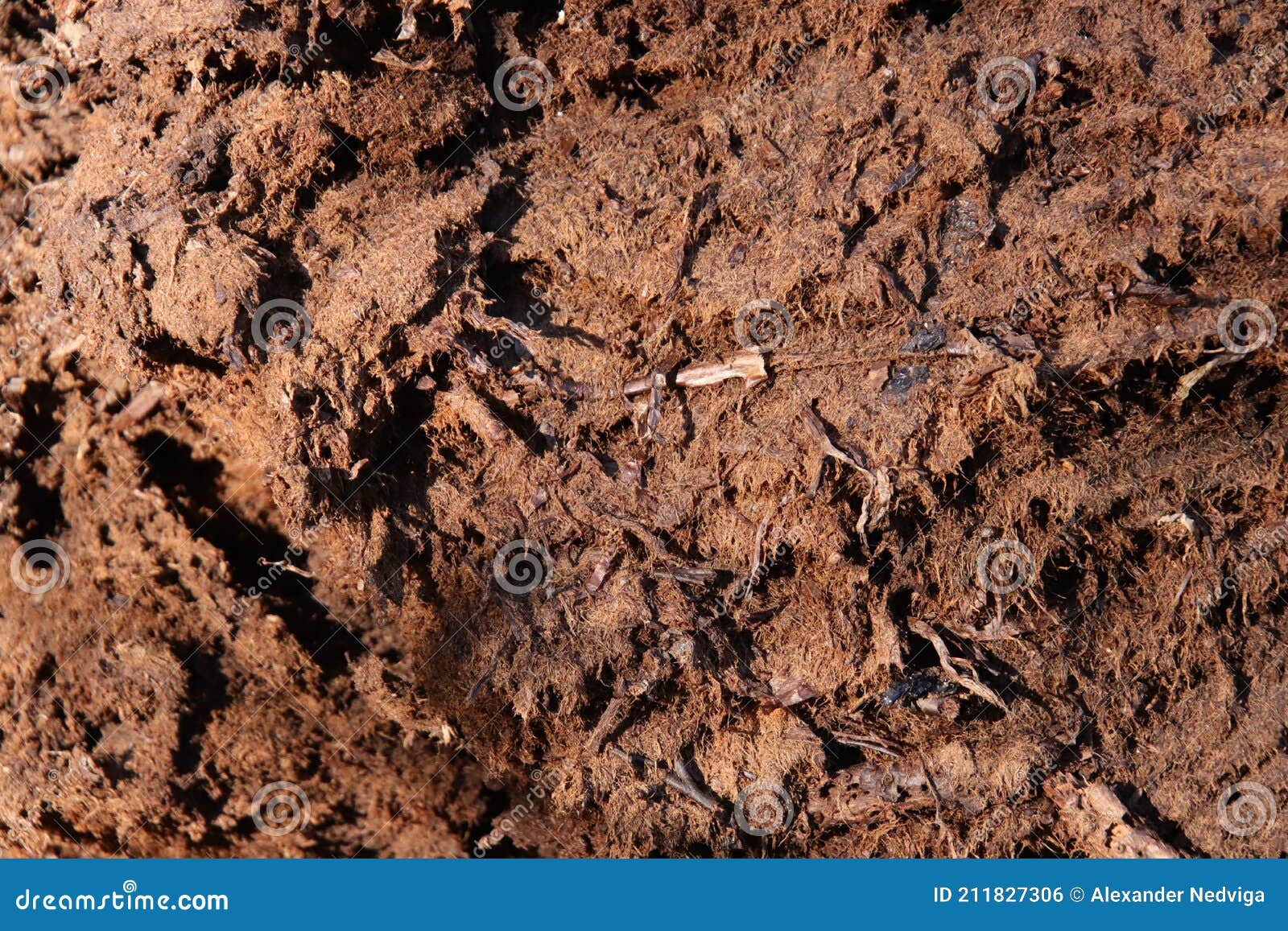Loose Soil Texture. Dirt Backdrop Stock Photo - Image of dirt, backdrop ...