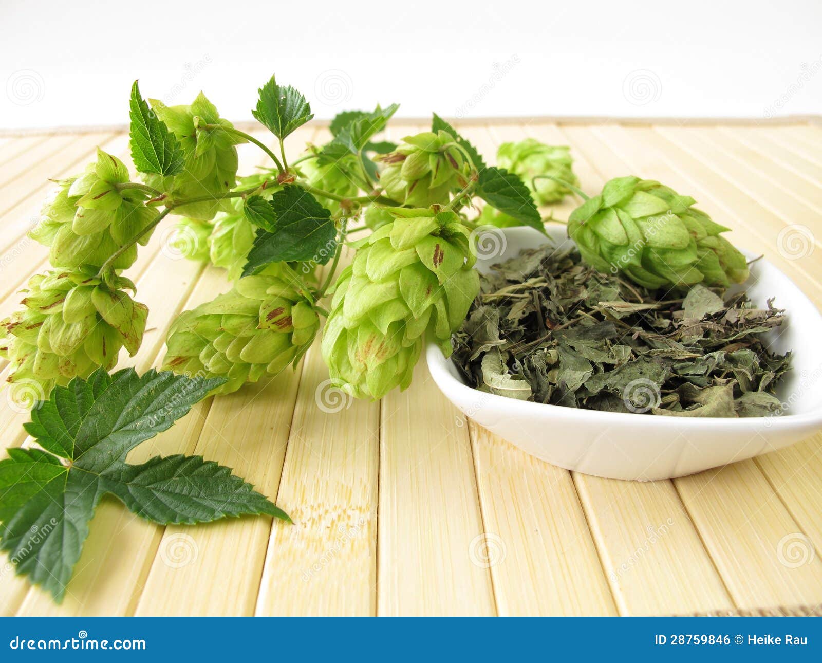 Loose tea with hops stock photo. Image of cone, lupulus - 28759846