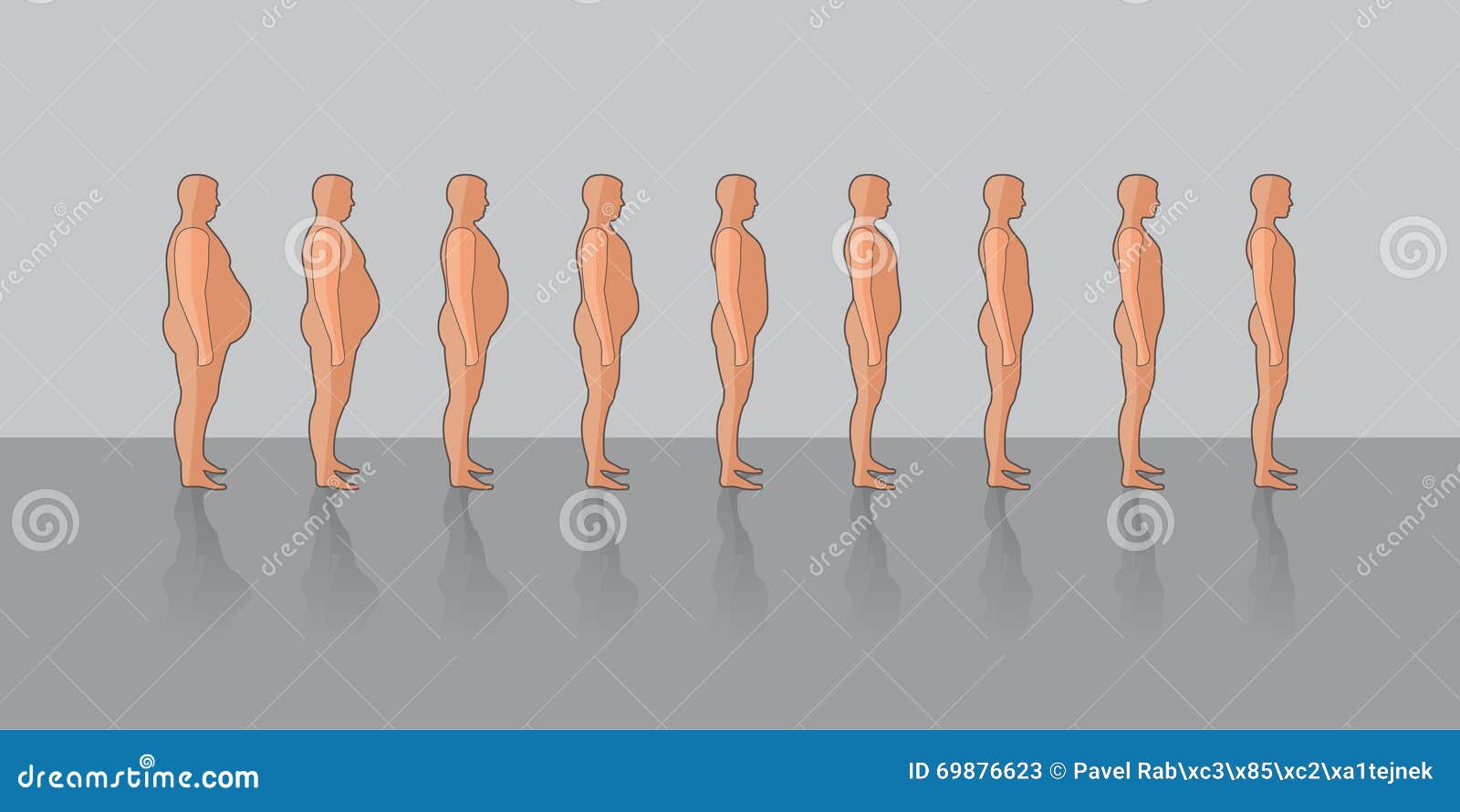 Evolution Side Stock Illustrations – 424 Evolution Side Stock ...