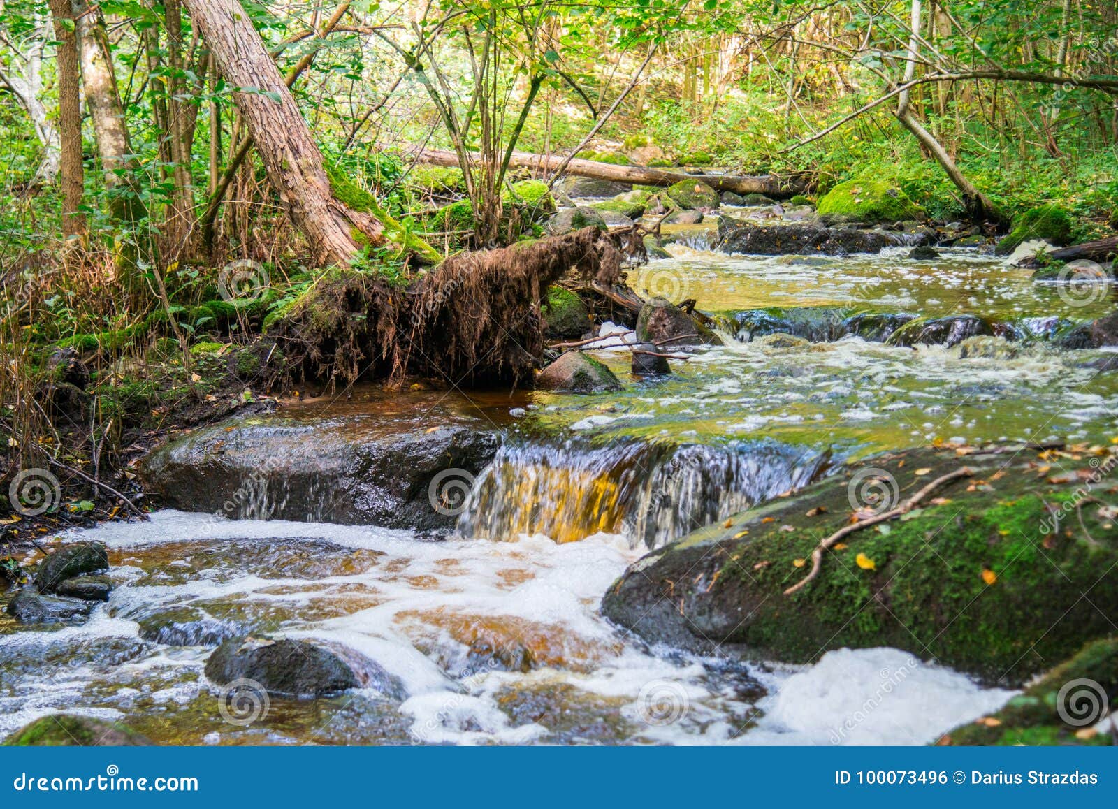 Lopend Water stock foto. Image of blad, litouwen, vers - 100073496