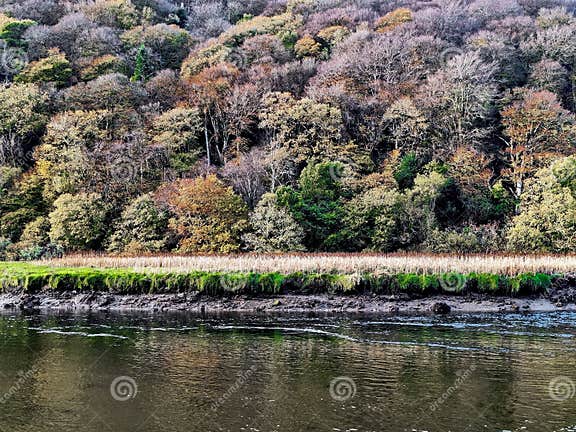 Lopwell Dam, River Tavy , Devon Stock Image - Image of rivertavy ...