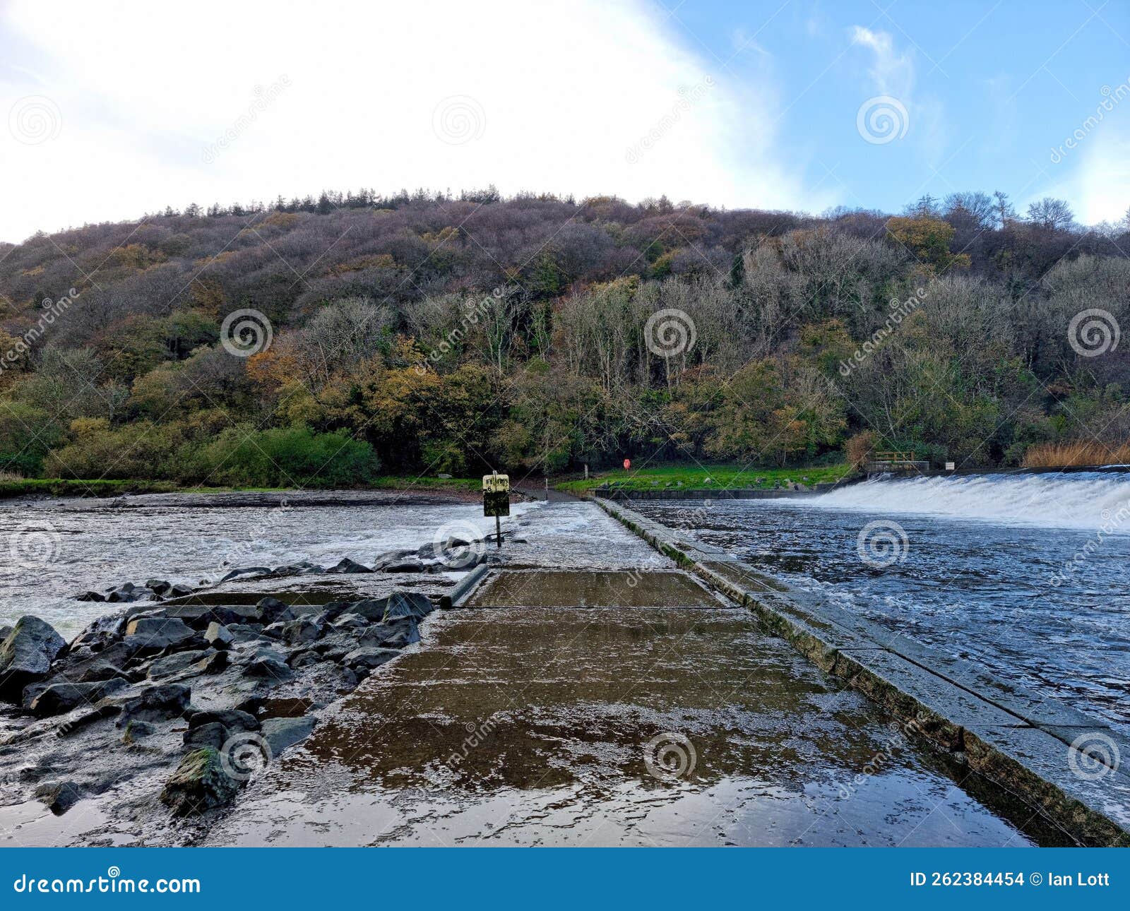 Lopwell Dam, River Tavy , Devon Stock Photo - Image of birds, water ...