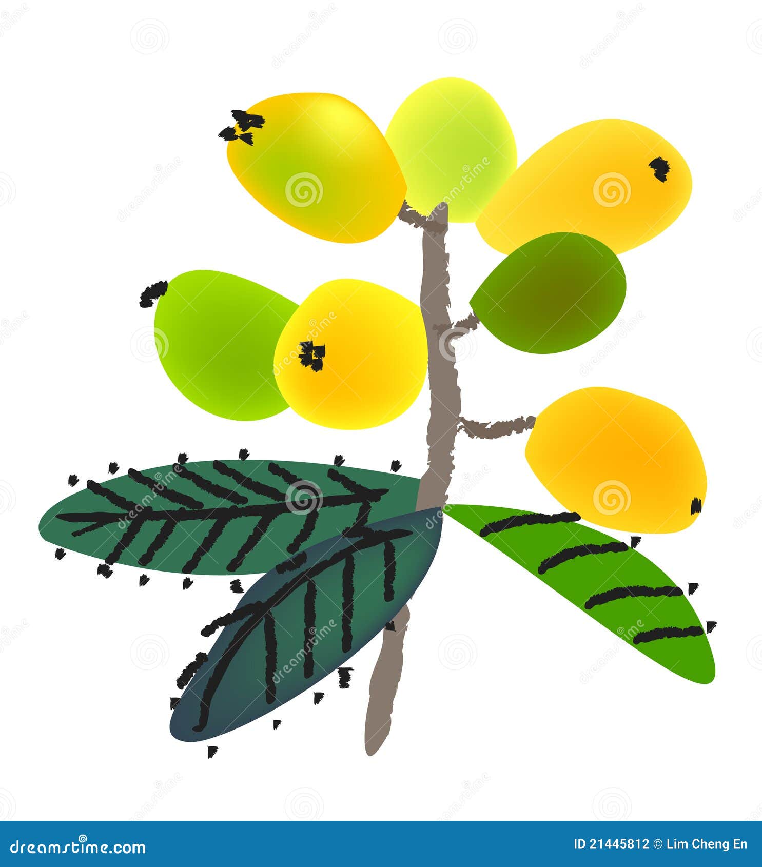 Loquat Cartoons, Illustrations & Vector Stock Images - 1831 Pictures to ...