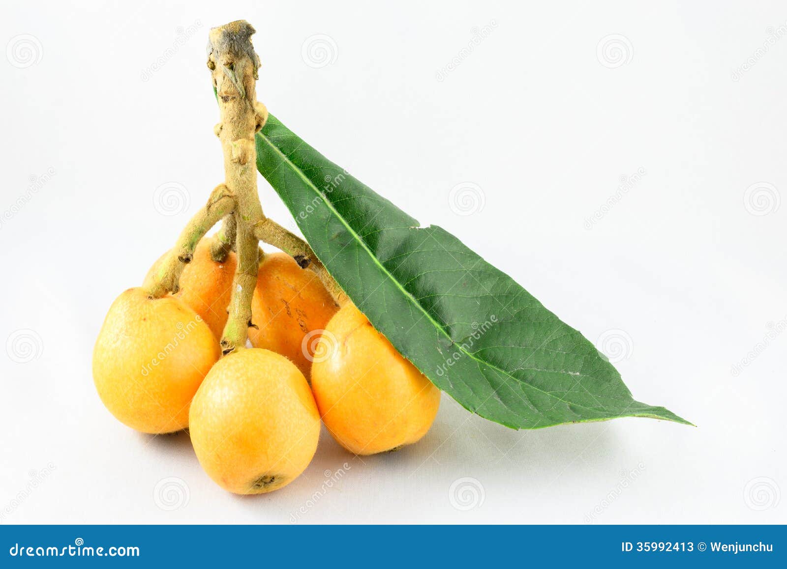 Loquat fruit stock image. Image of health, agriculture - 35992413