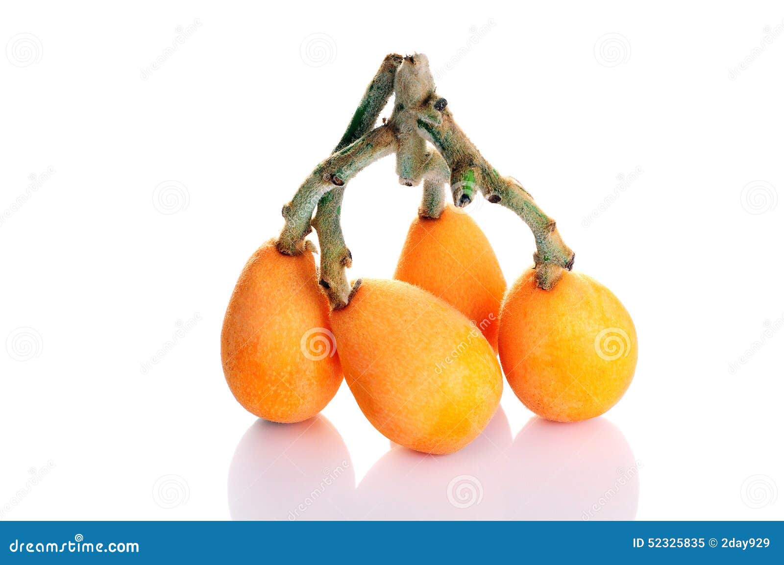 Loquat fruit stock image. Image of isolated, loquats - 52325835