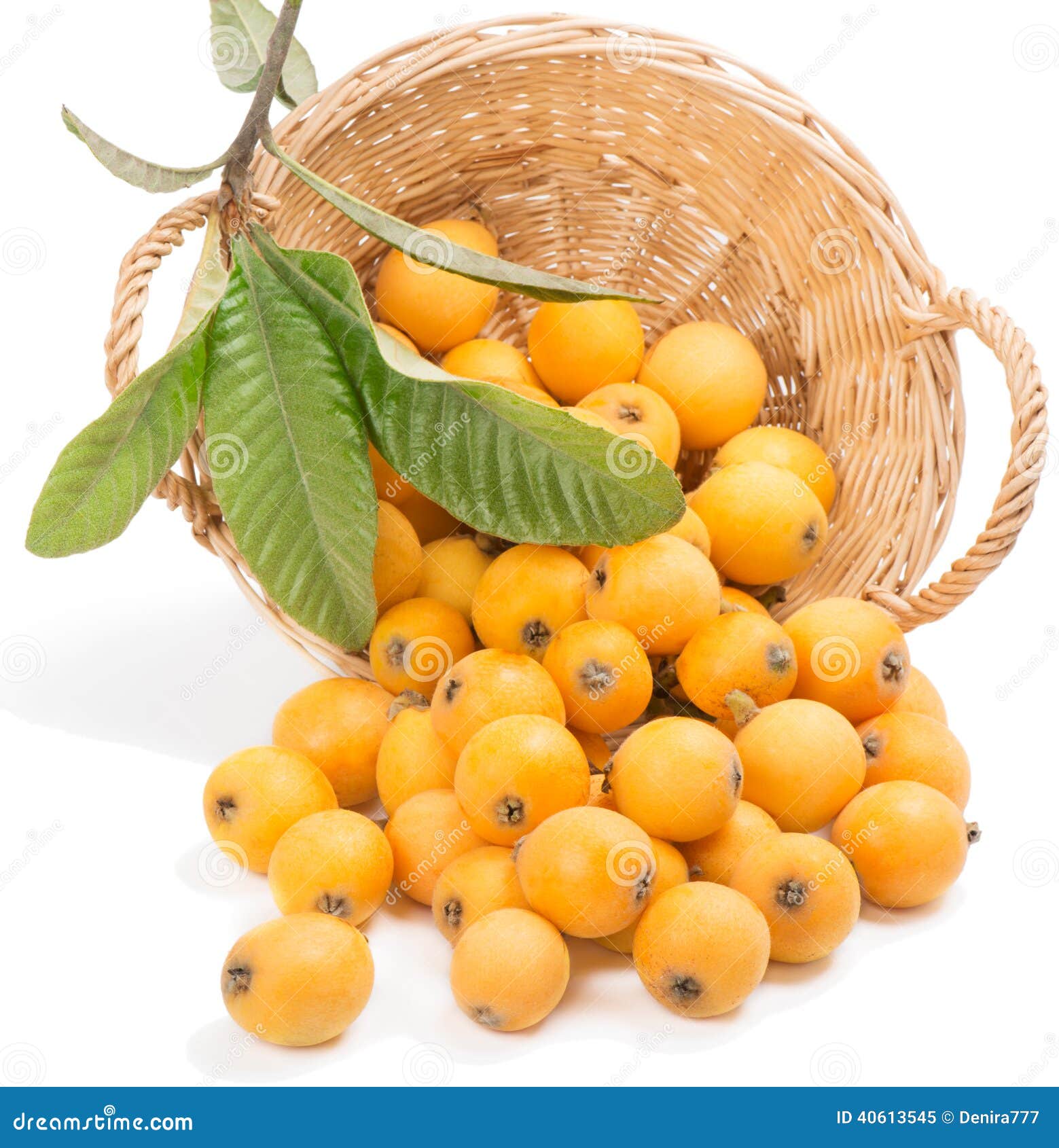 Loquat fruit stock image. Image of loquats, closeup, scatter - 40613545