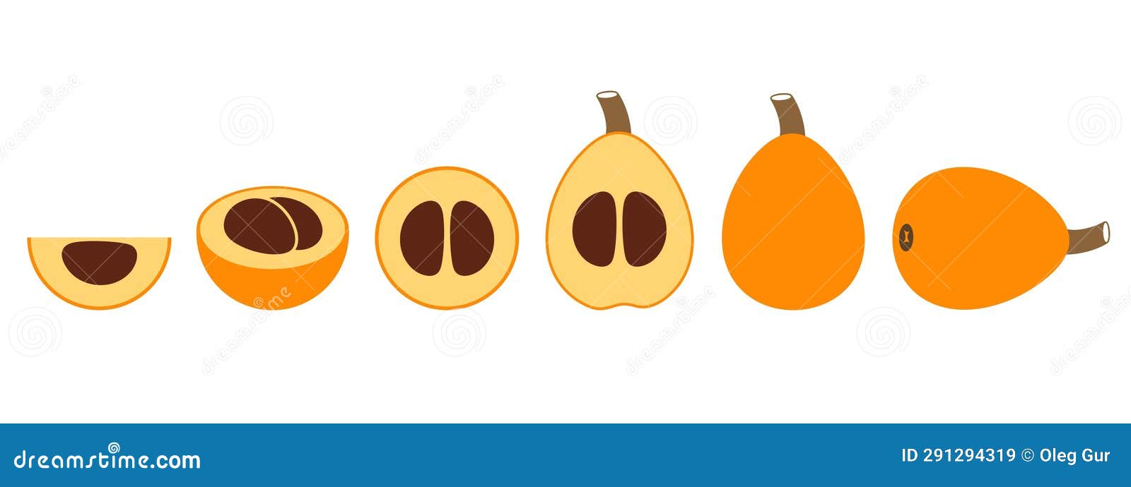 Loquat Logo. Isolated Loquat On White Background Vector Illustration ...