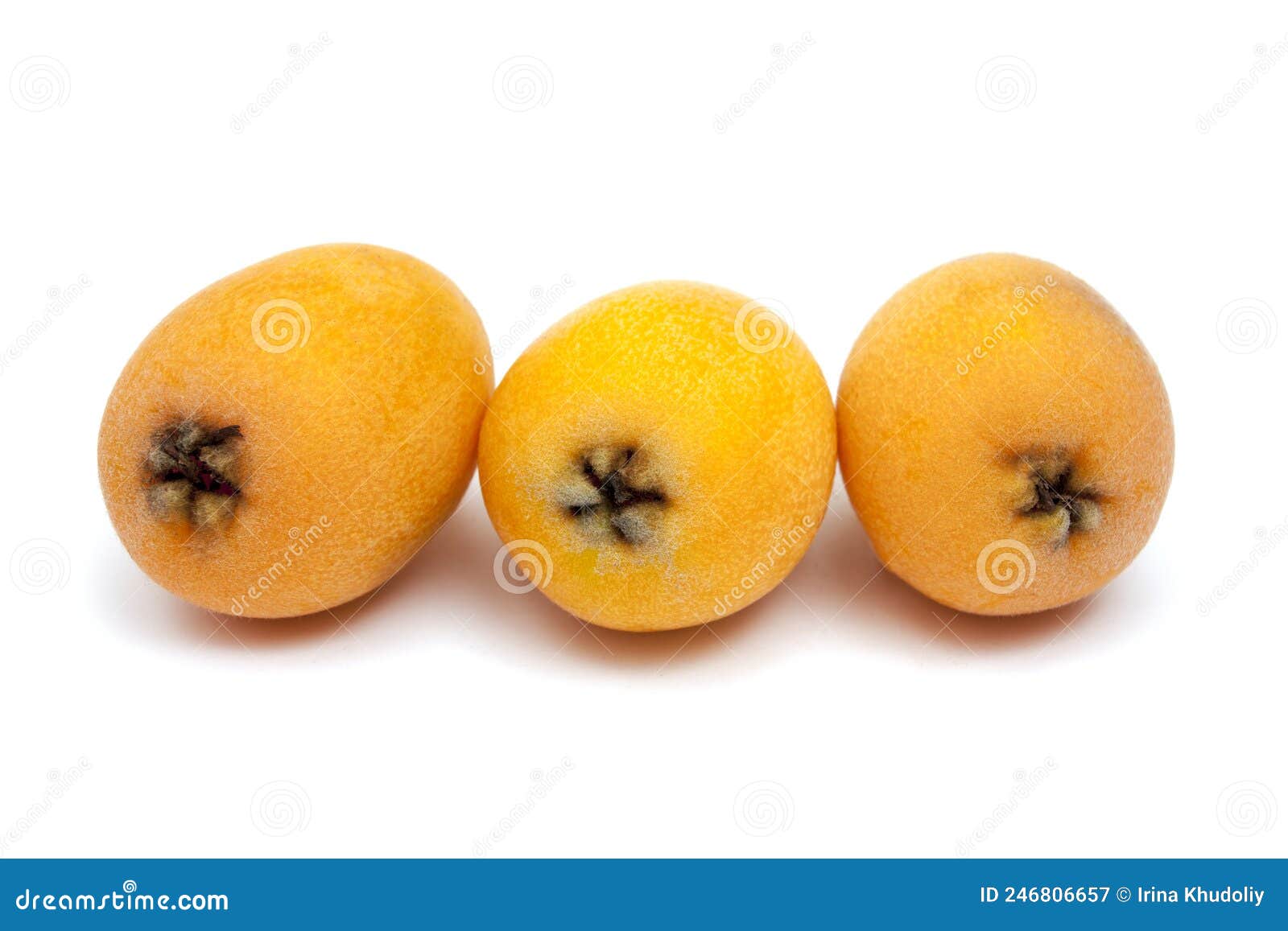 Loquats fruits isolated stock image. Image of asian - 246806657