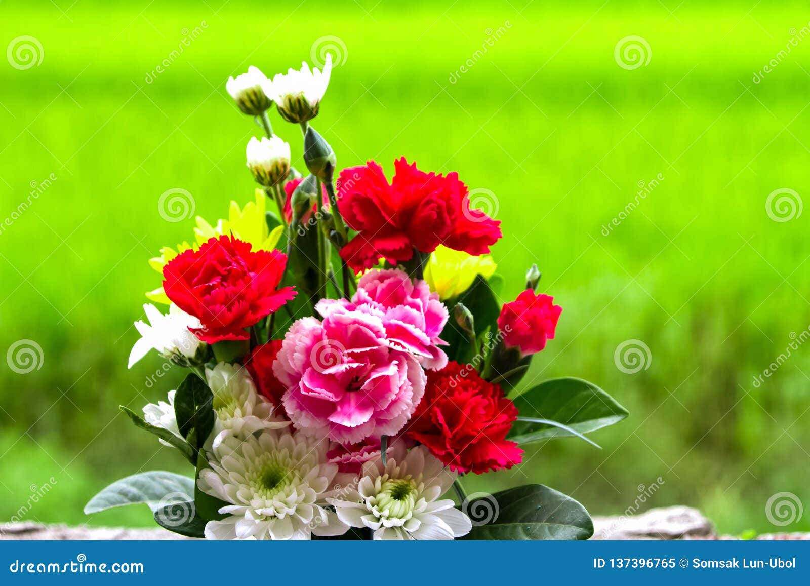 Loral Bouquet of Different Flowers on Background Stock Image - Image of ...
