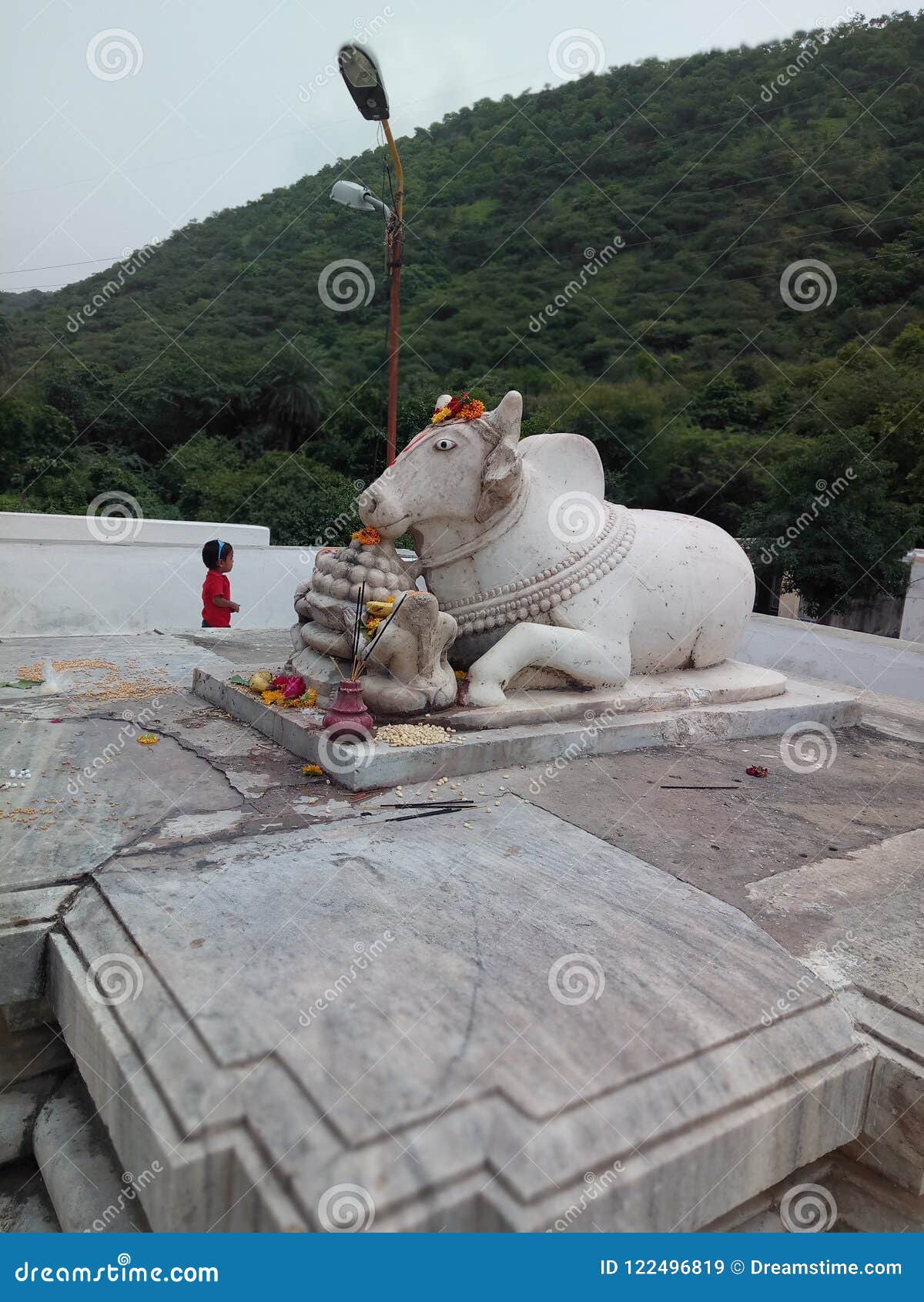 Lord ox editorial stock image. Image of shiva, lord - 122496819