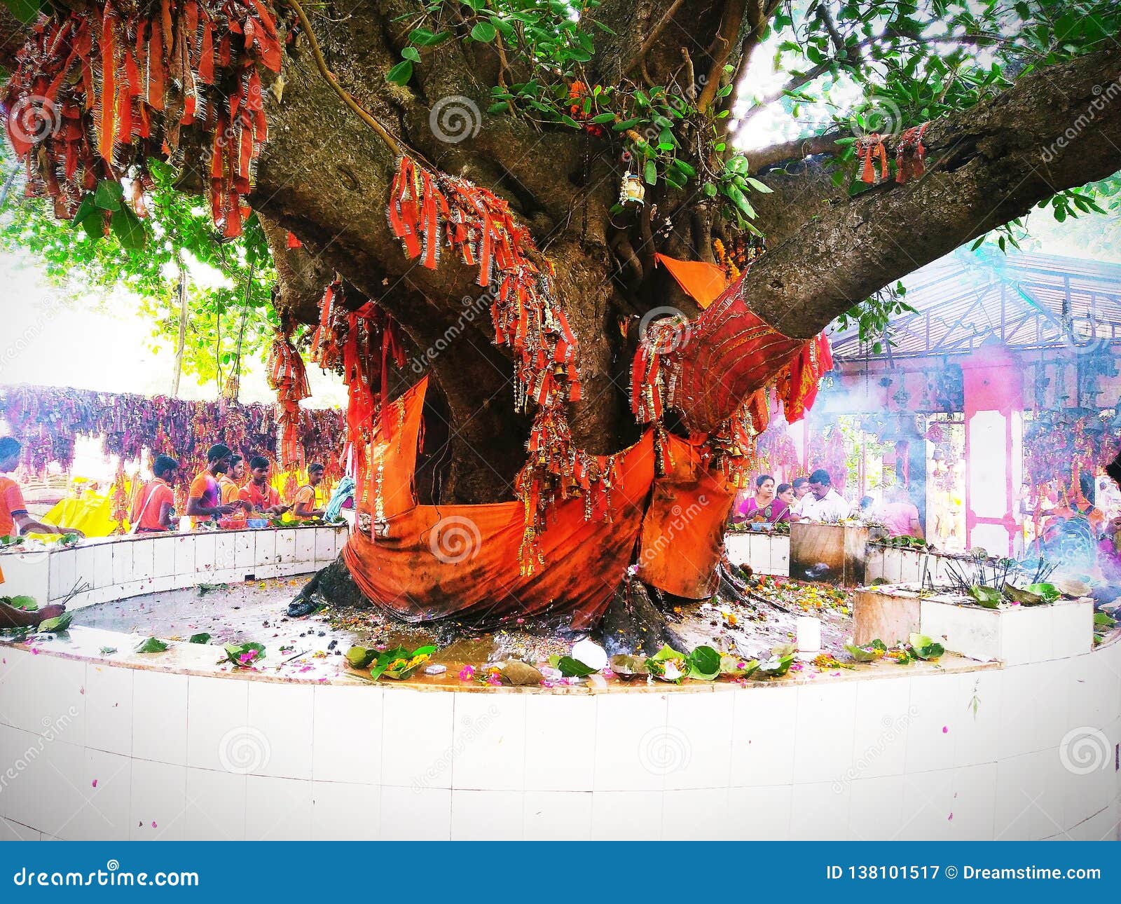 Lord tree editorial photography. Image of shiv, tree - 138101517