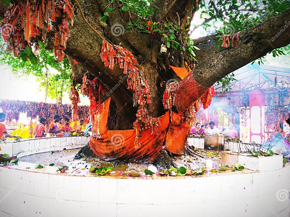 Lord tree editorial photography. Image of shiv, tree - 138101517