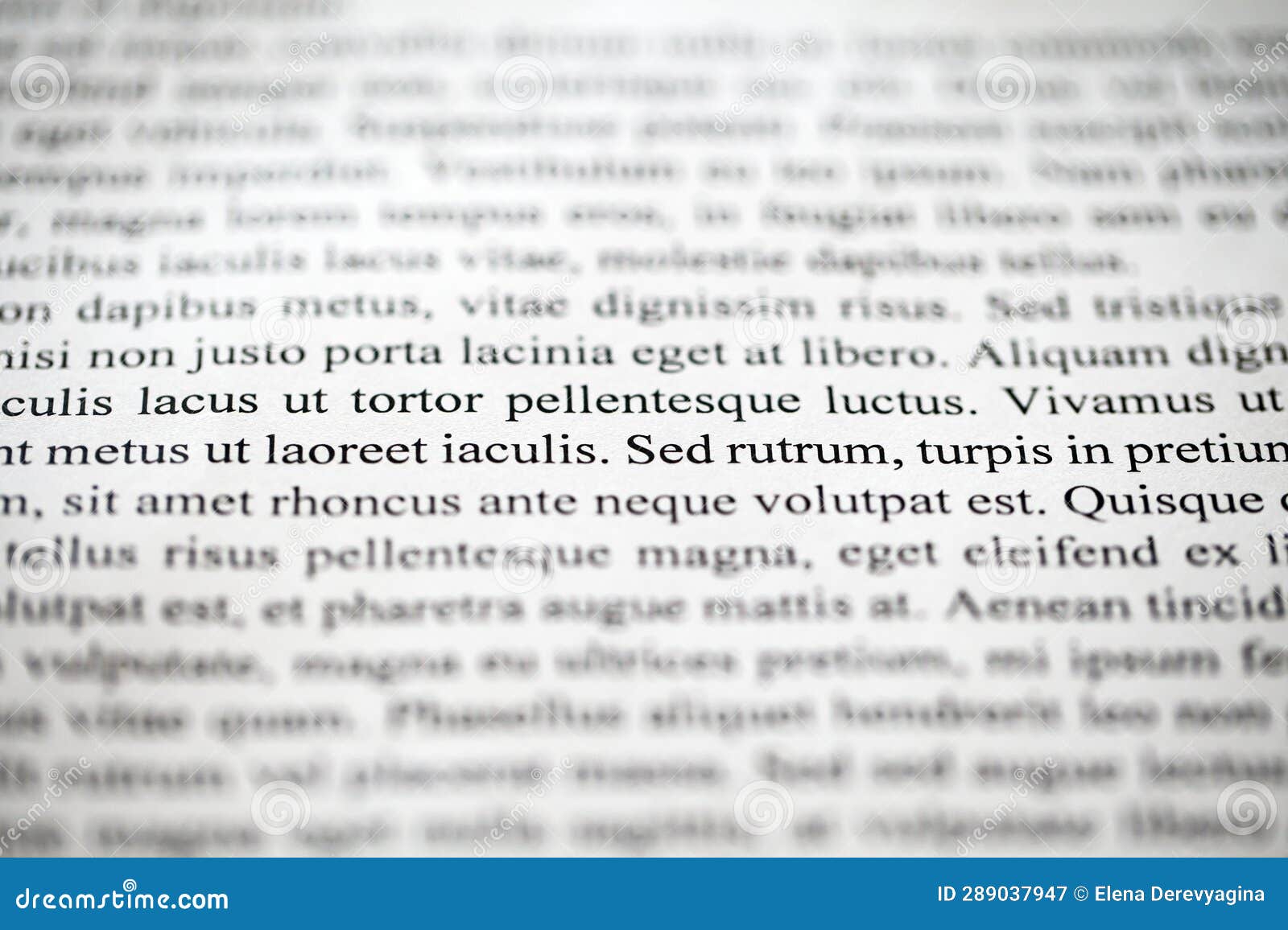 Lorem Ipsum Text Strings of Words on Printed on Paper, Sample Document ...