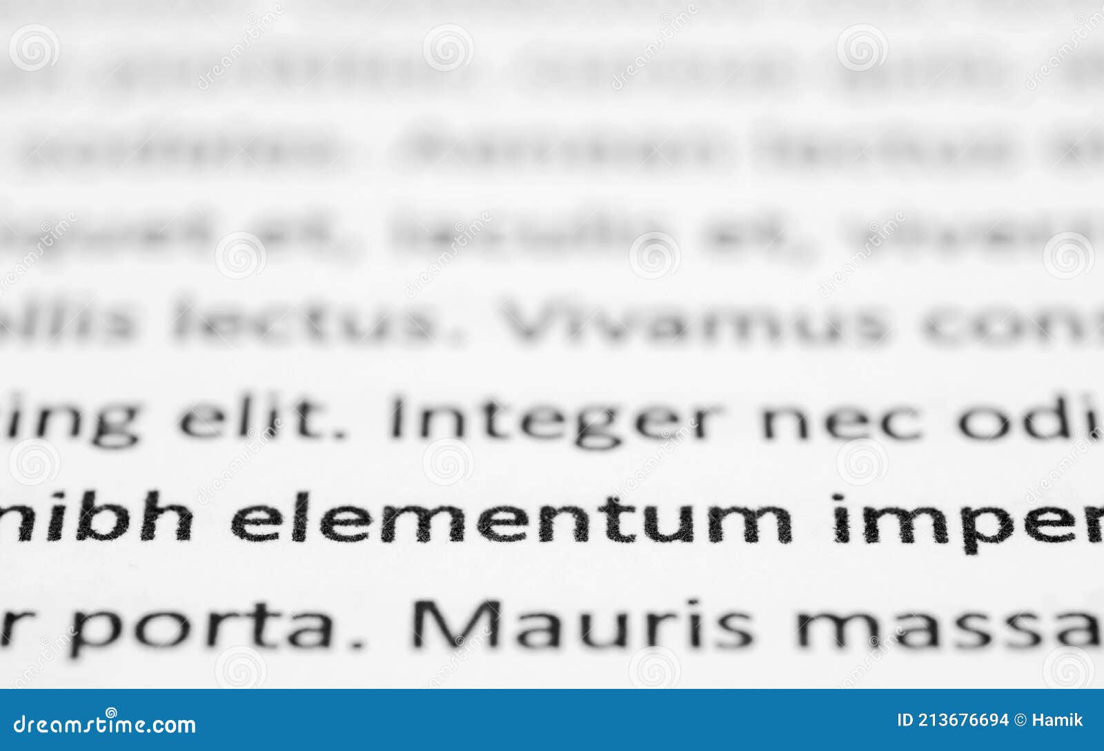 Lorem Ipsum Text on White Paper Stock Photo - Image of horizontal ...