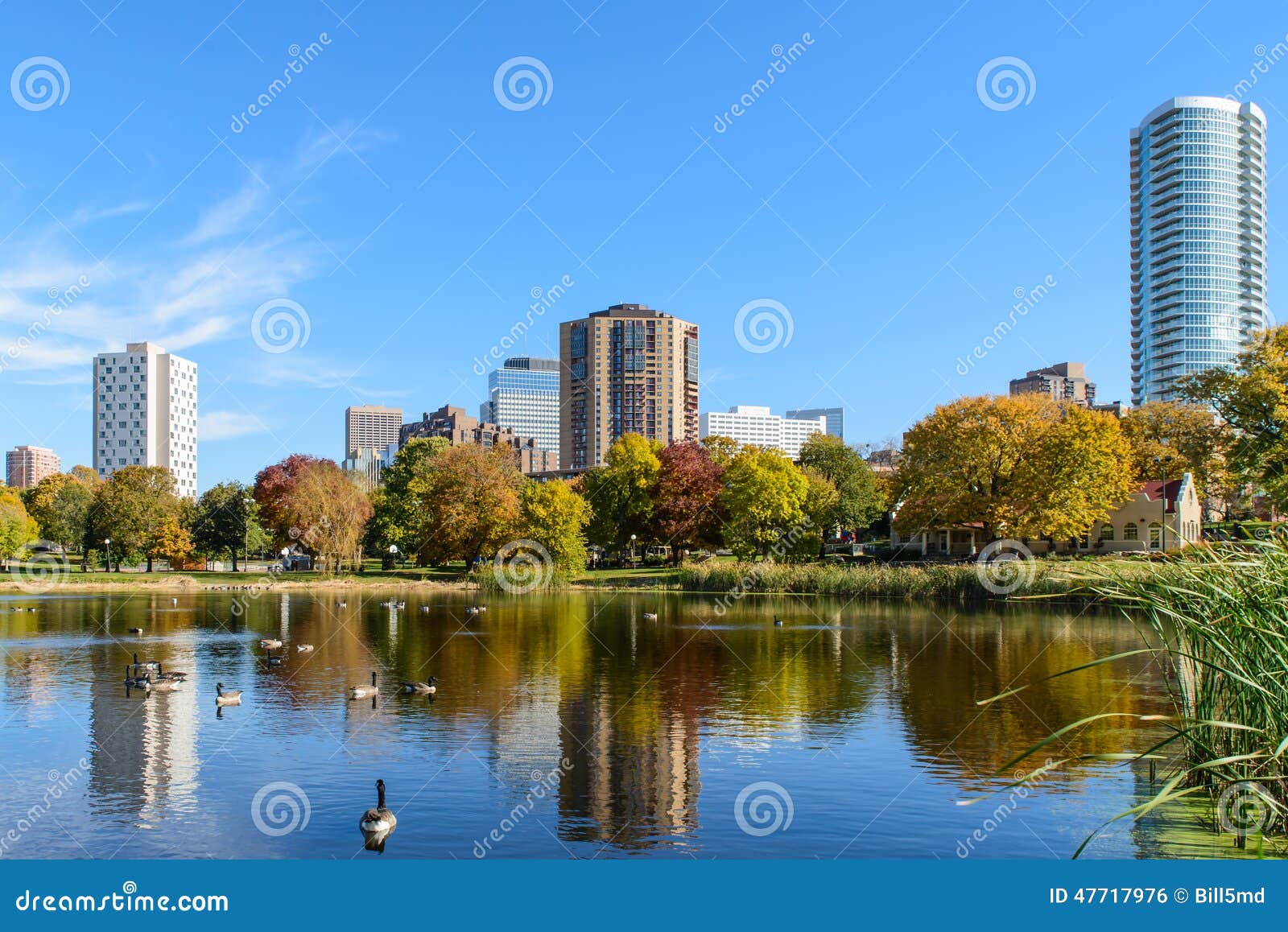 Loring Park in Autumn photo stock. Image du horizon, minneapolis - 47717976
