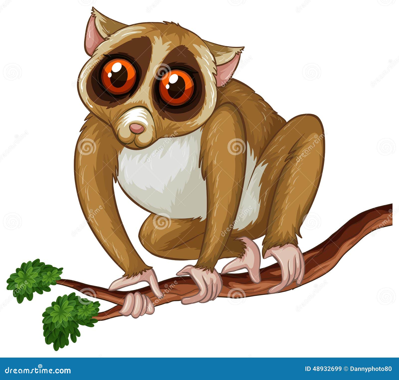 Loris stock vector. Illustration of fluffy, domestic - 48932699