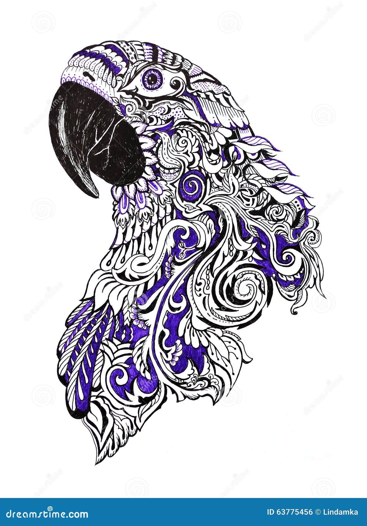 Loro pintado colorido stock de ilustración. Ilustración de rosa - 63775456