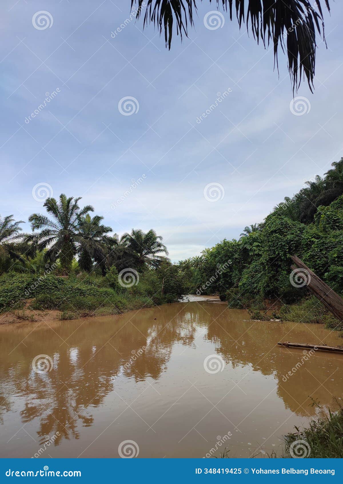 Loroan Incredibly Beautiful and Aesthetic View in the Afternoon Stock ...