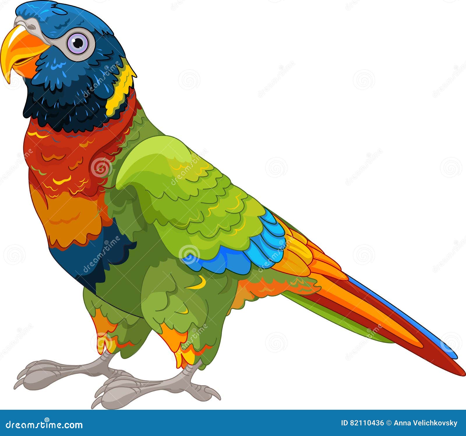 Lory Cartoons, Illustrations & Vector Stock Images - 759 Pictures to ...