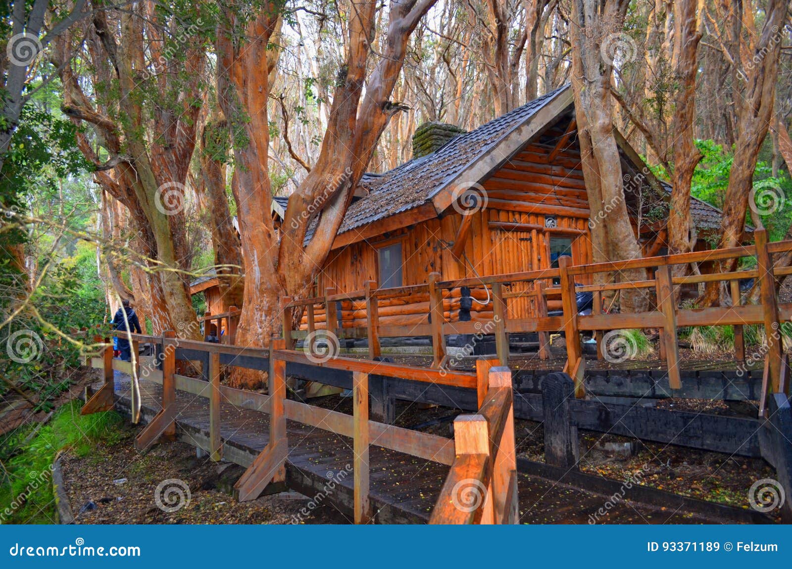 Los Arrayanes, National Park, Argentina Stock Image - Image of nahuel ...