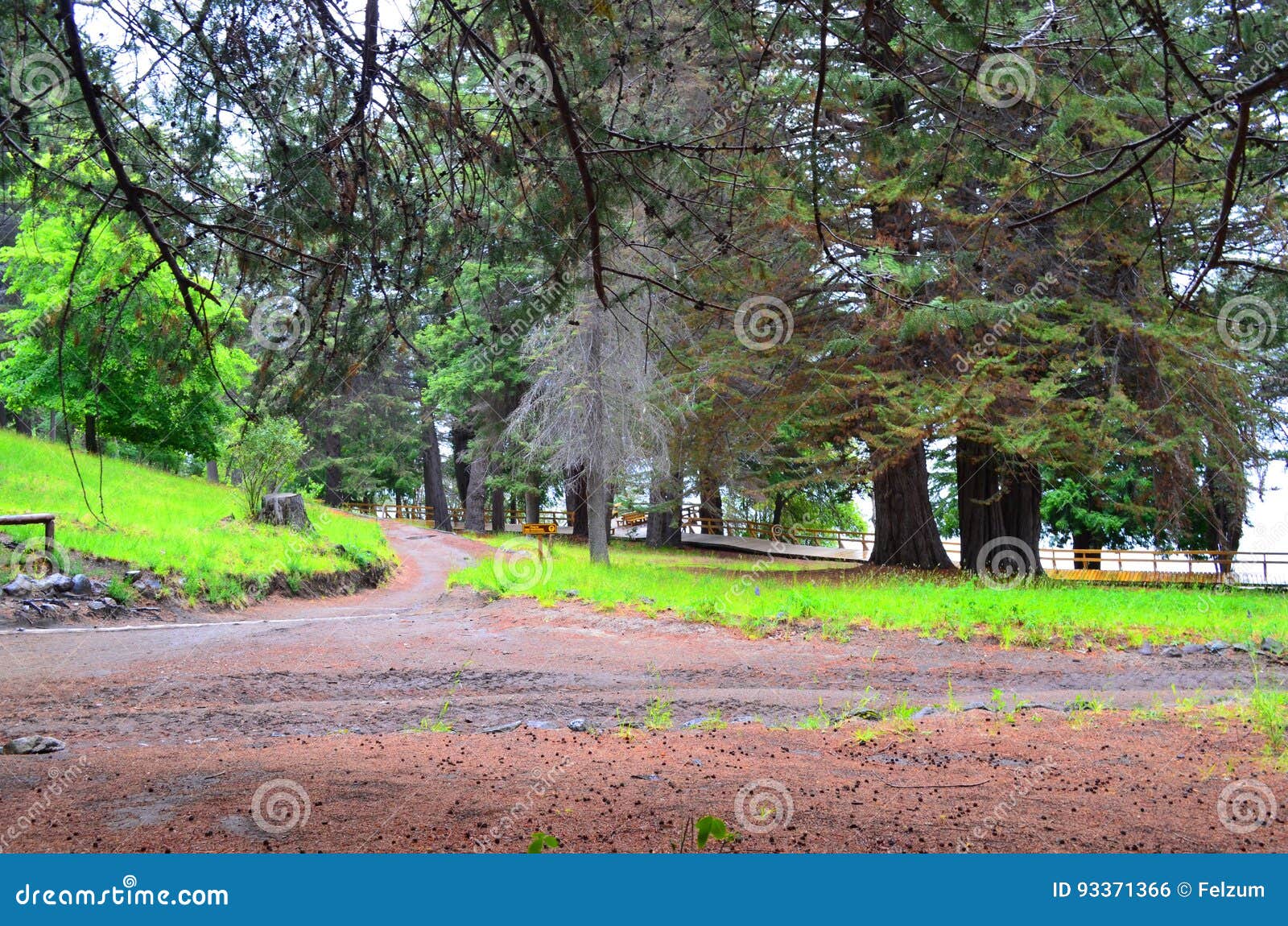 Los Arrayanes, National Park, Argentina Stock Photo - Image of full ...