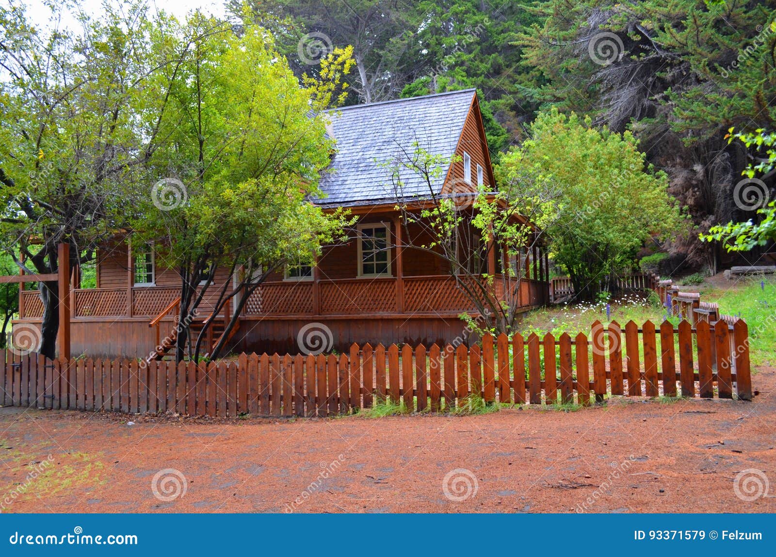 Los Arrayanes, National Park, Argentina Stock Image - Image of ...