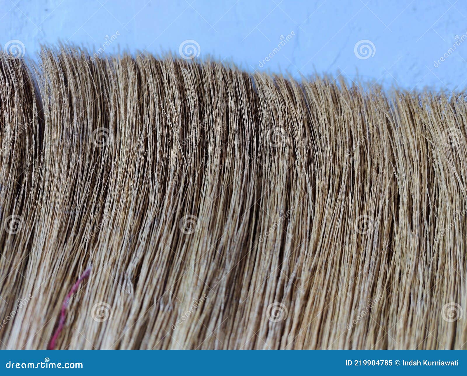 Los Beneficios De La Hierba Seca Imagen de archivo - Imagen de seco ...