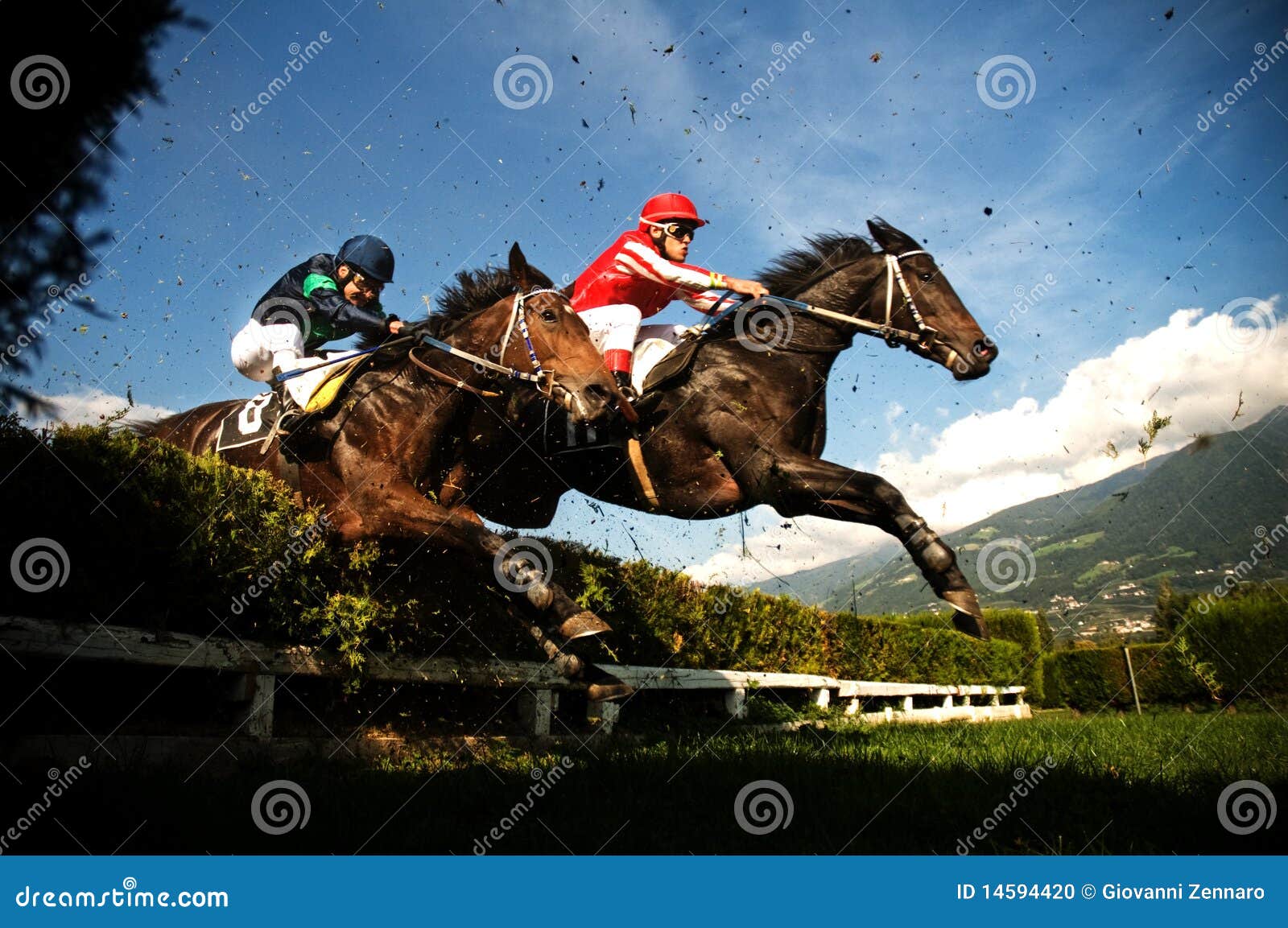Los Caballos Que Saltan El Obstáculo Imagen editorial - Imagen de ...
