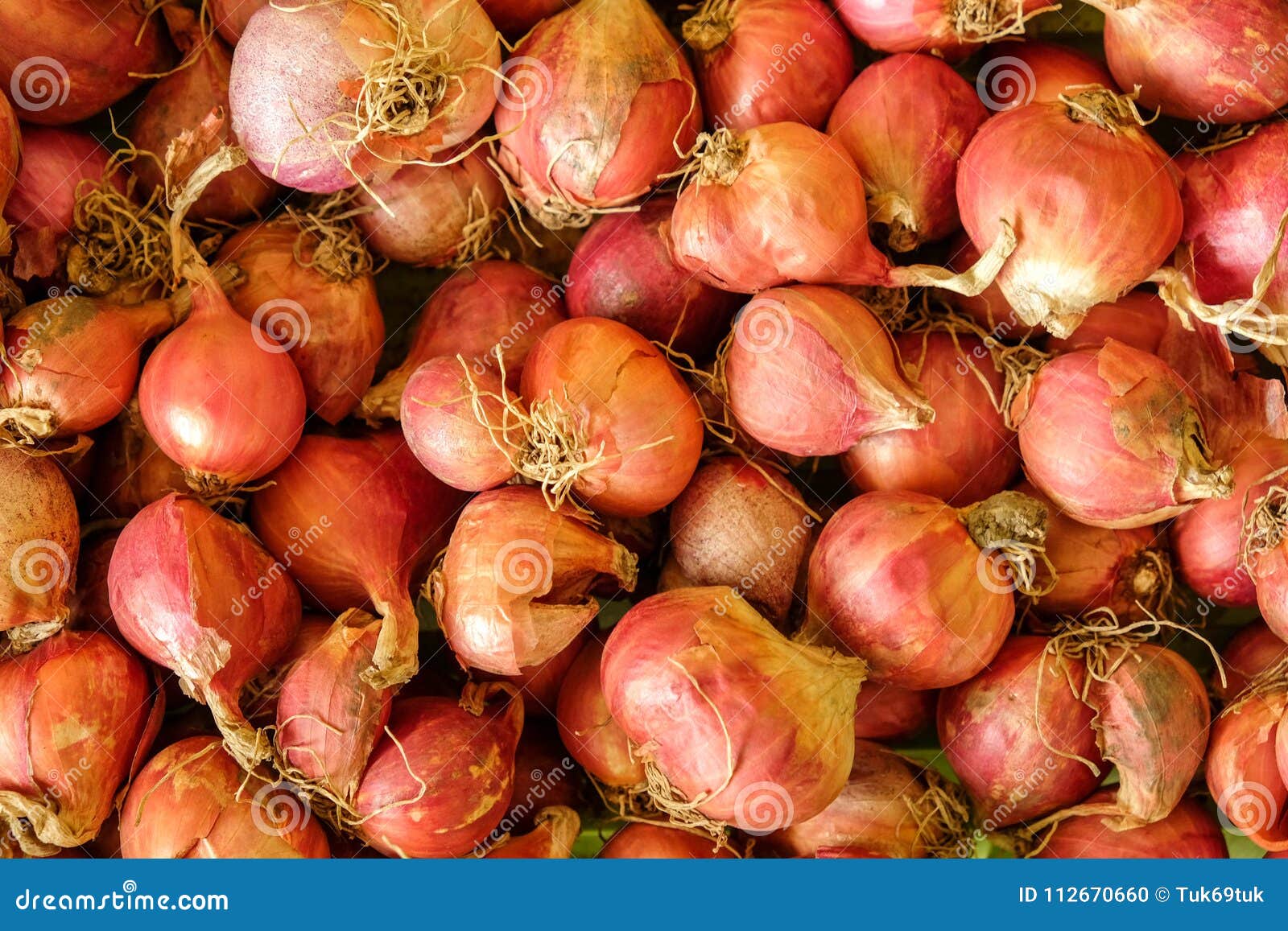 Los Chalotes Se Utilizan Como Especia Para Cocinar Foto de archivo ...