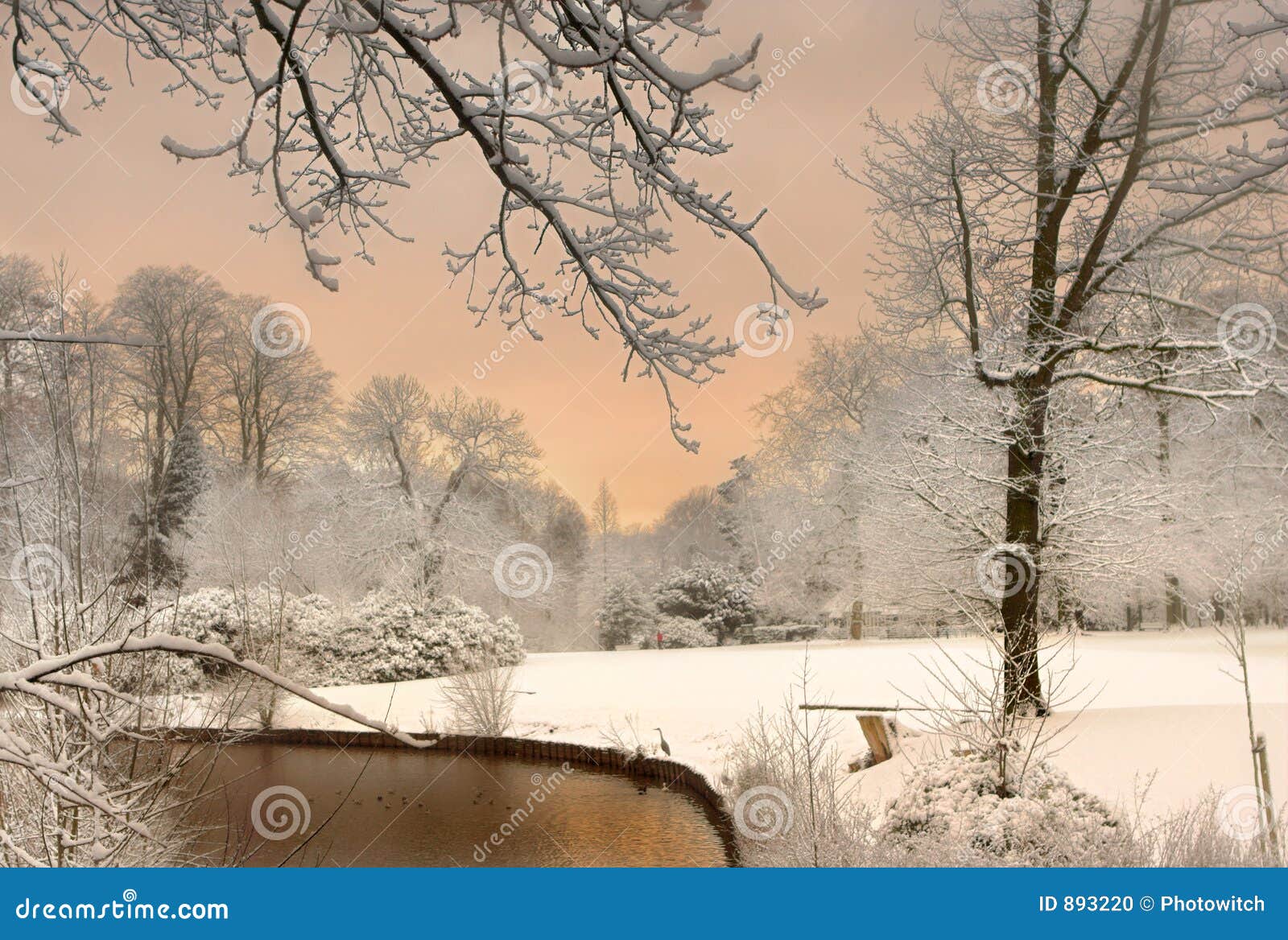 Los colores de la nieve foto de archivo. Imagen de escénico - 893220