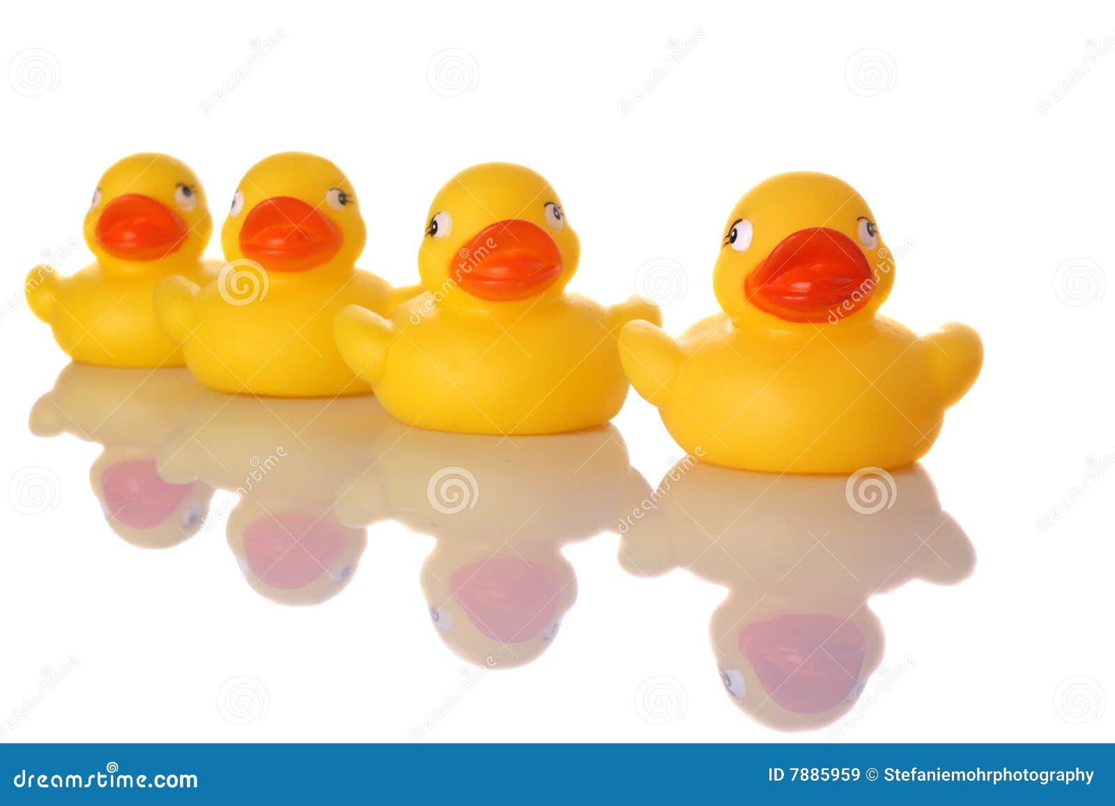 Los cuatro patos imagen de archivo. Imagen de blanco, vario - 7885959