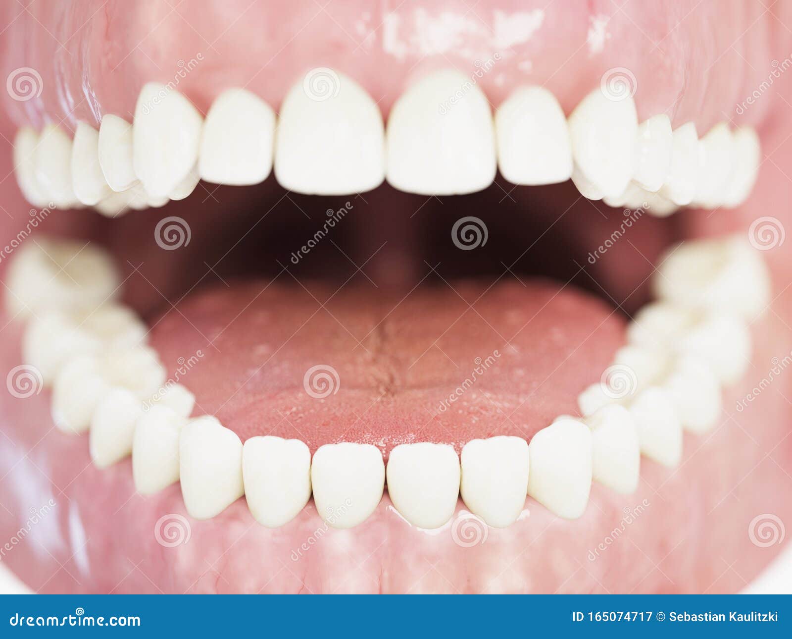 Los dientes humanos stock de ilustración. Ilustración de ortodoncista ...