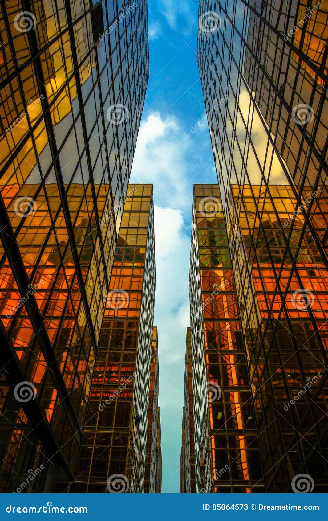 Los Edificios De Oro Del Negocio Abrigan La Ciudad En Tsim Sha Tsui ...