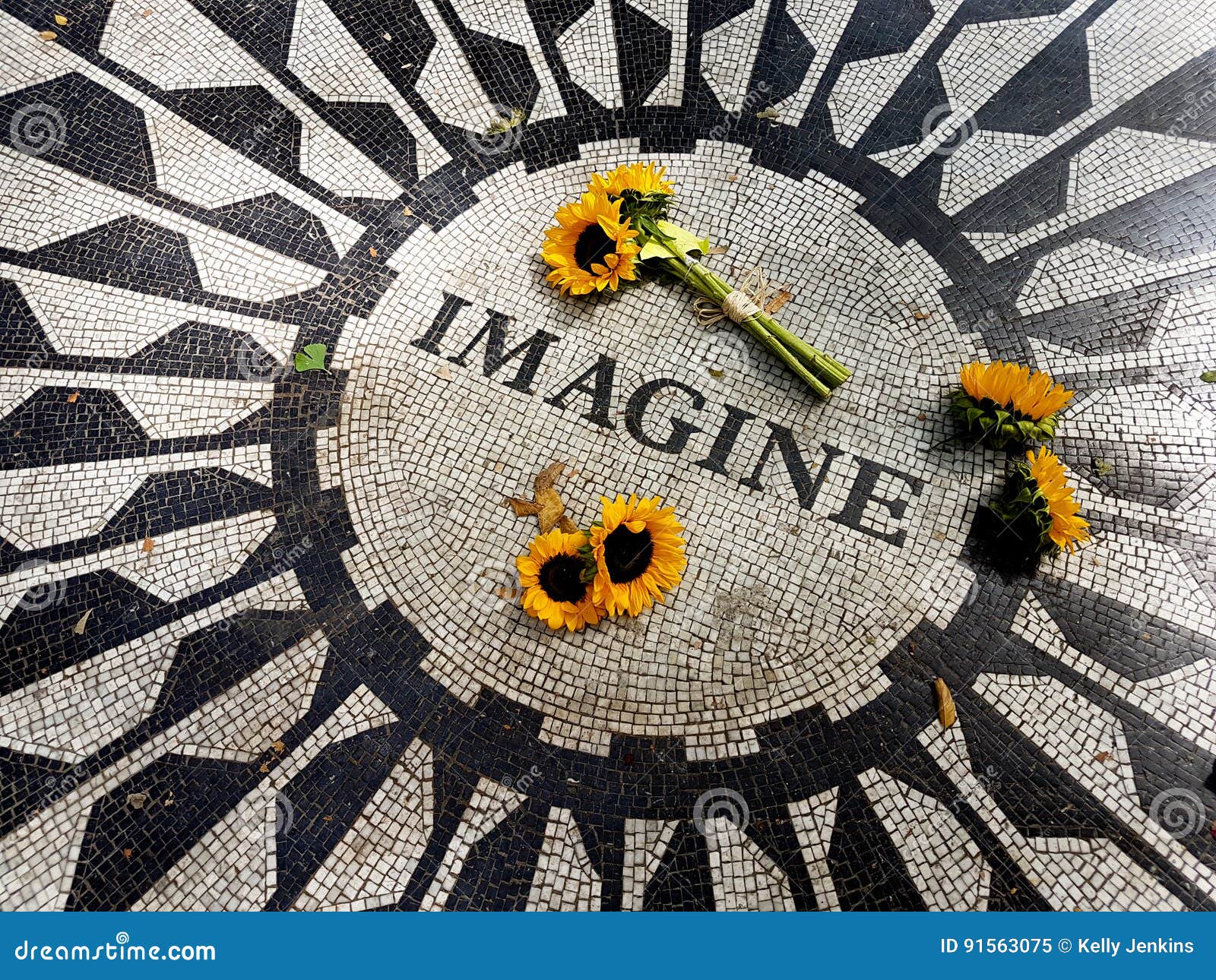 Los Girasoles En El Central Park Se Imaginan El Mosaico - Nueva York ... Los Girasoles En El Central Park Se Imaginan El Mosaico - Nueva York ...