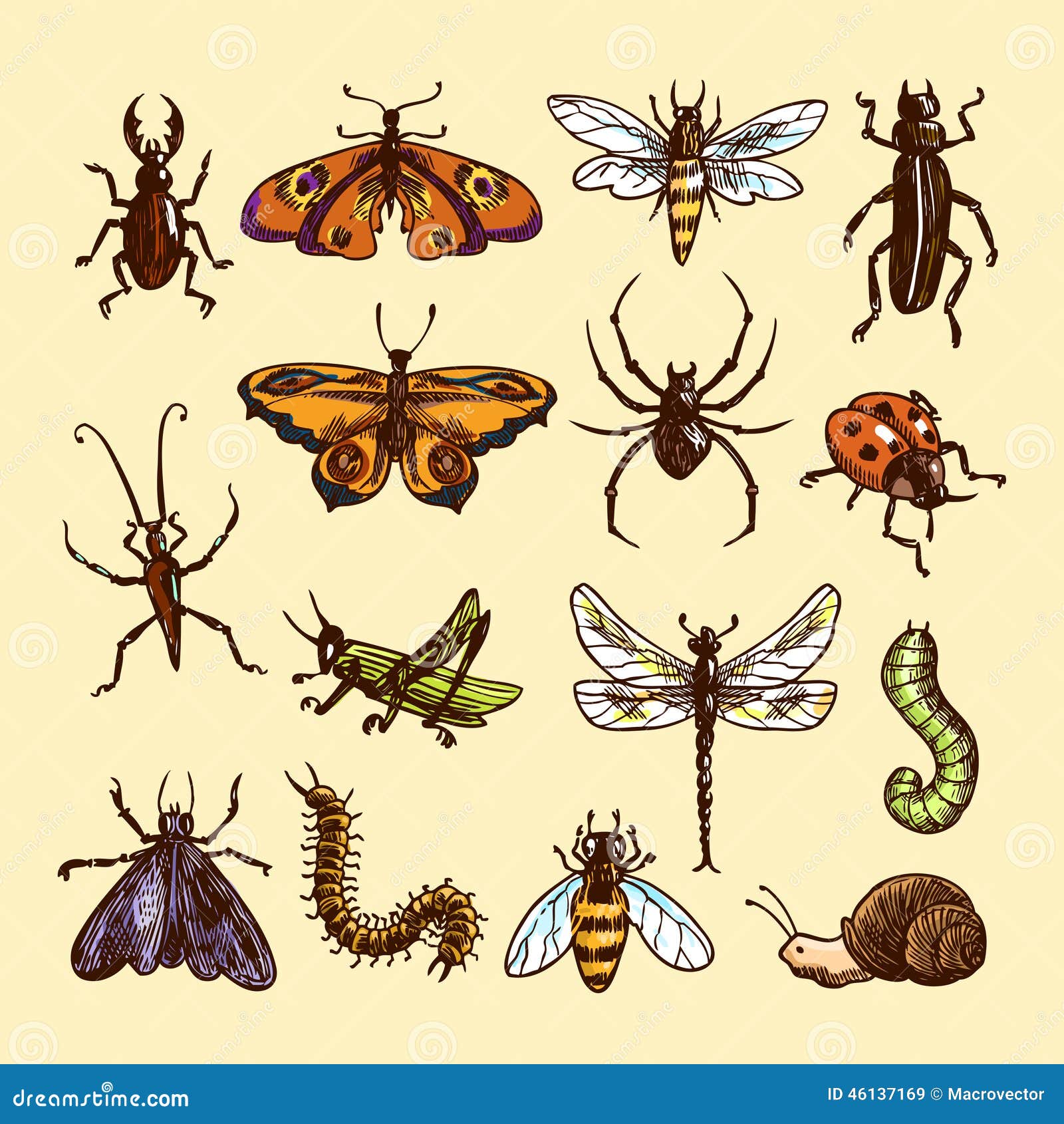 Los Insectos Bosquejan El Sistema Ilustración del Vector - Ilustración ...