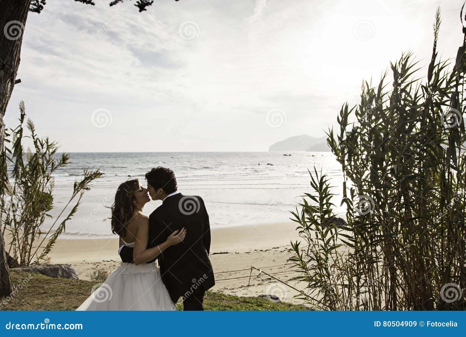 Los Novios Se Besan En La Playa Imagen de archivo - Imagen de muchacha ...