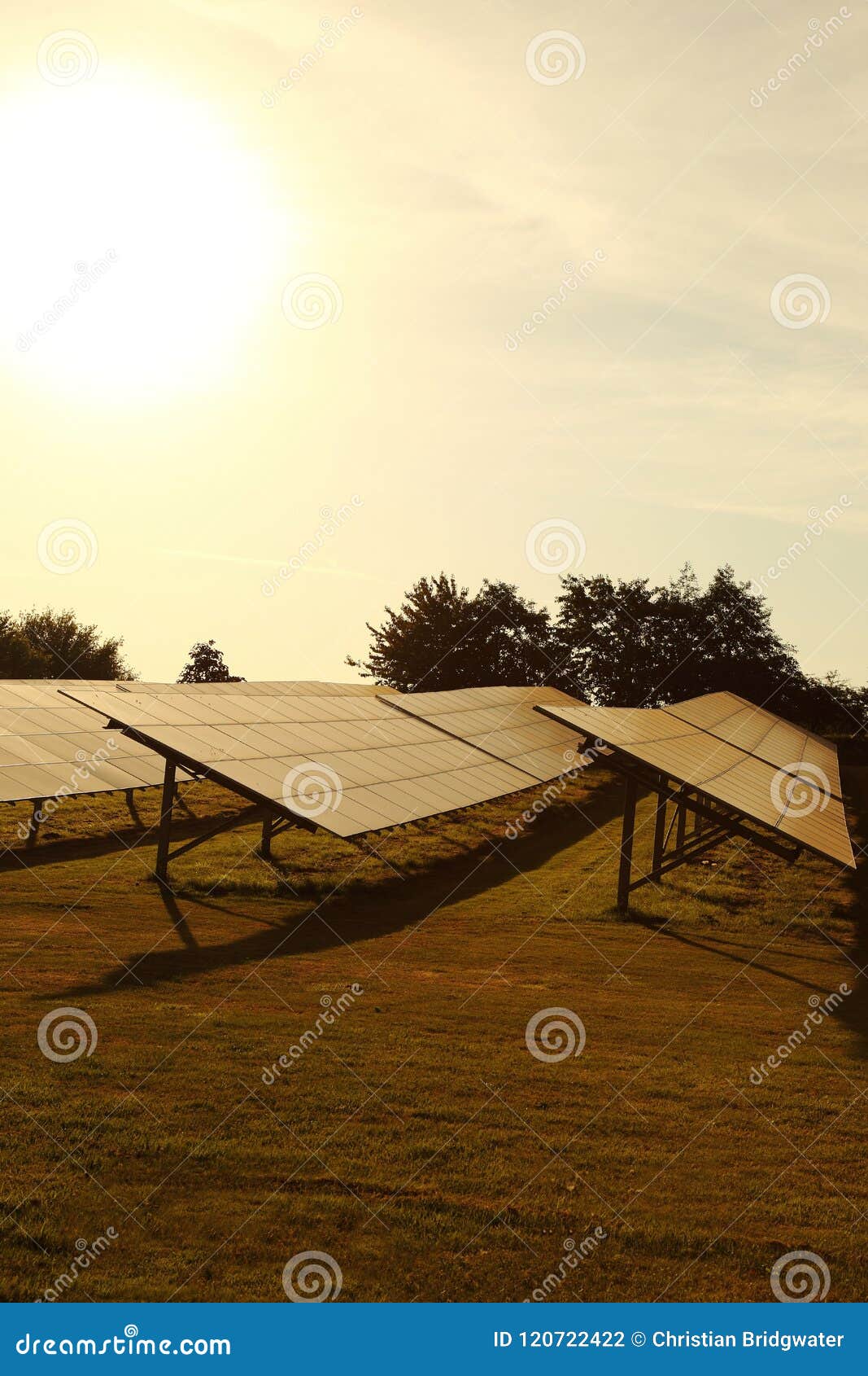 Los Paneles Solares Cultivan En Un Campo En El Campo Foto de archivo ...