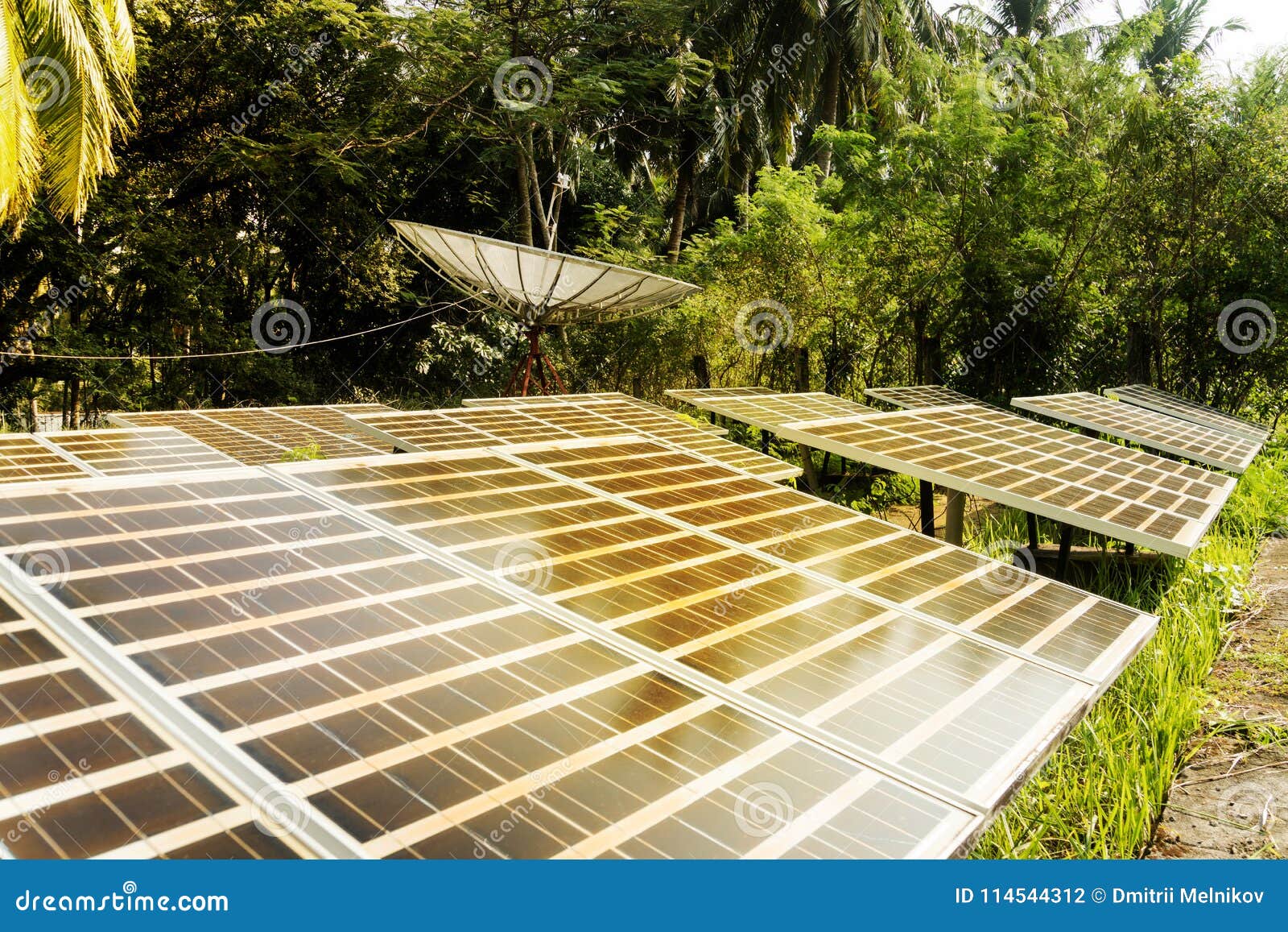 Los Paneles Solares Grandes En La Selva Tropical Foto de archivo ...